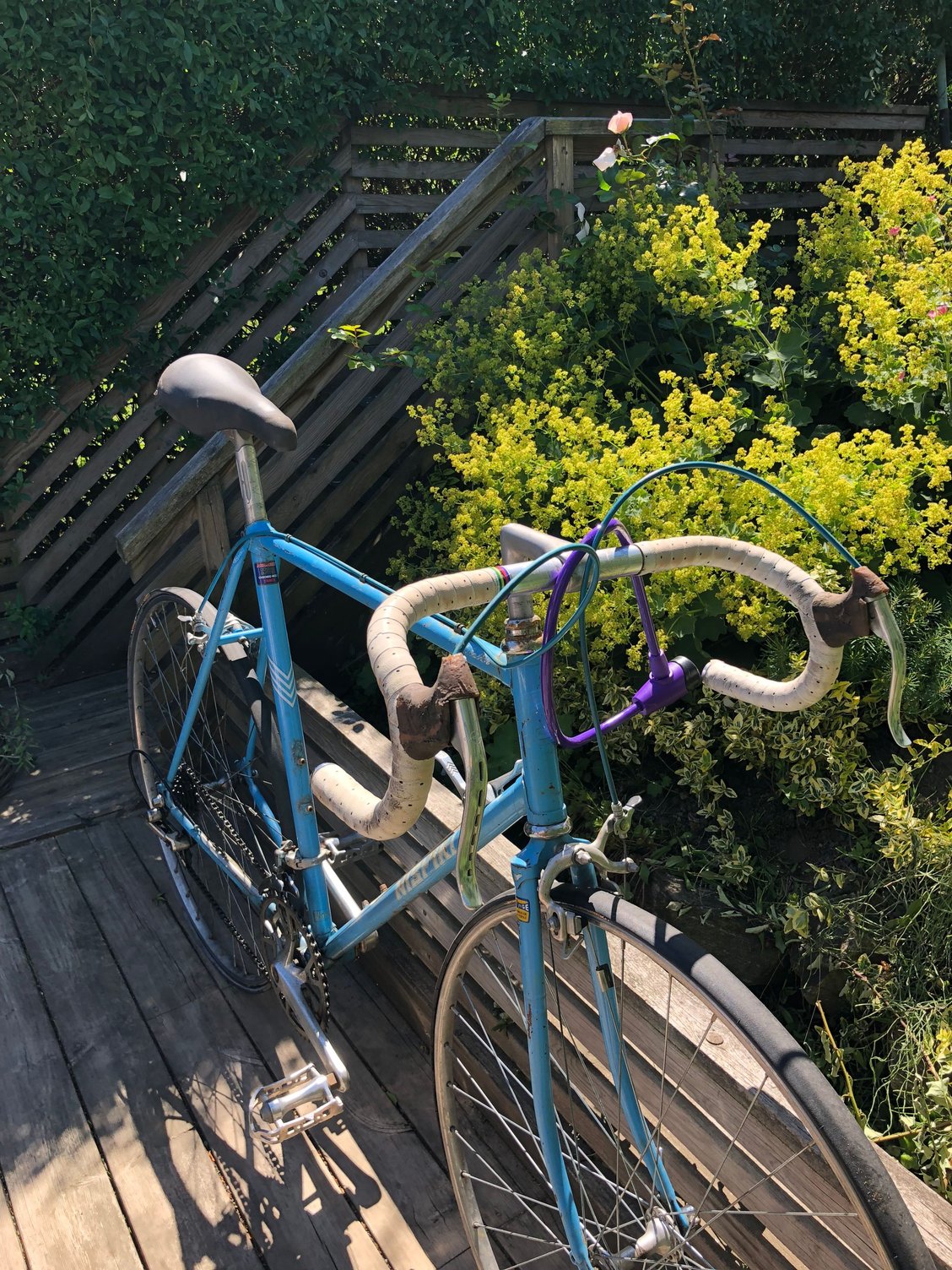 Bike Forums - First vintage road bike - So many options!