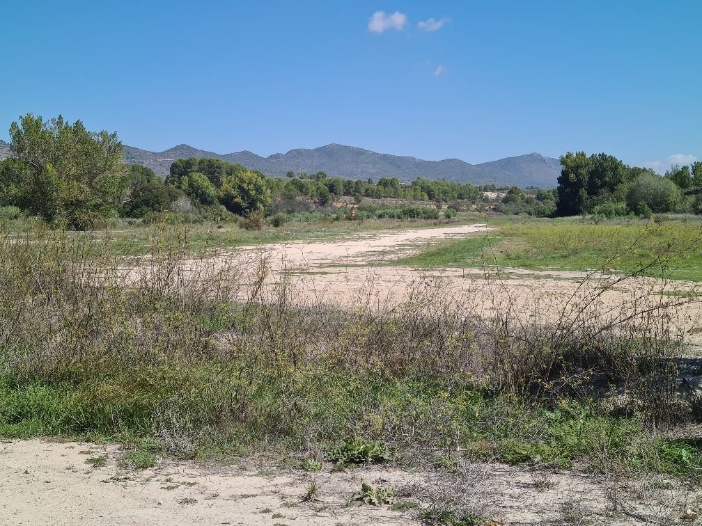 PPRuNe Forums - Which Aerodrome Mk IV