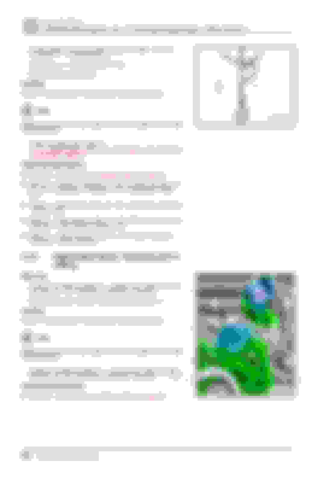 Motor mount replacement instructions - AudiWorld Forums