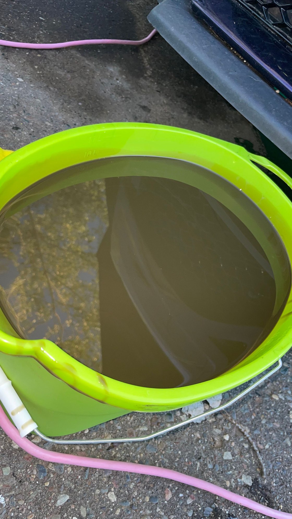 Is this normal color of oil? - AudiWorld Forums