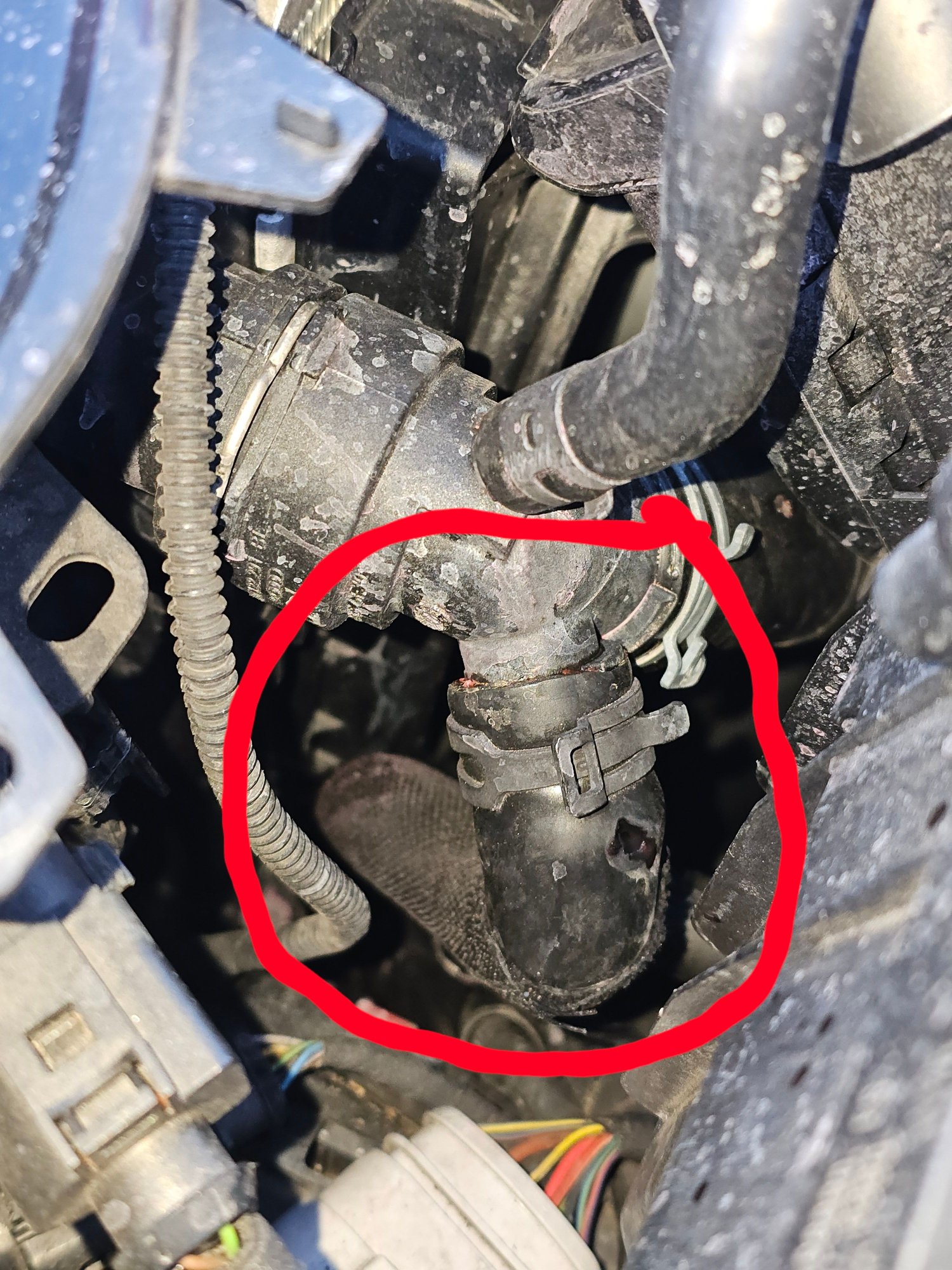 Coolant or Radiator hose issue - AudiWorld Forums