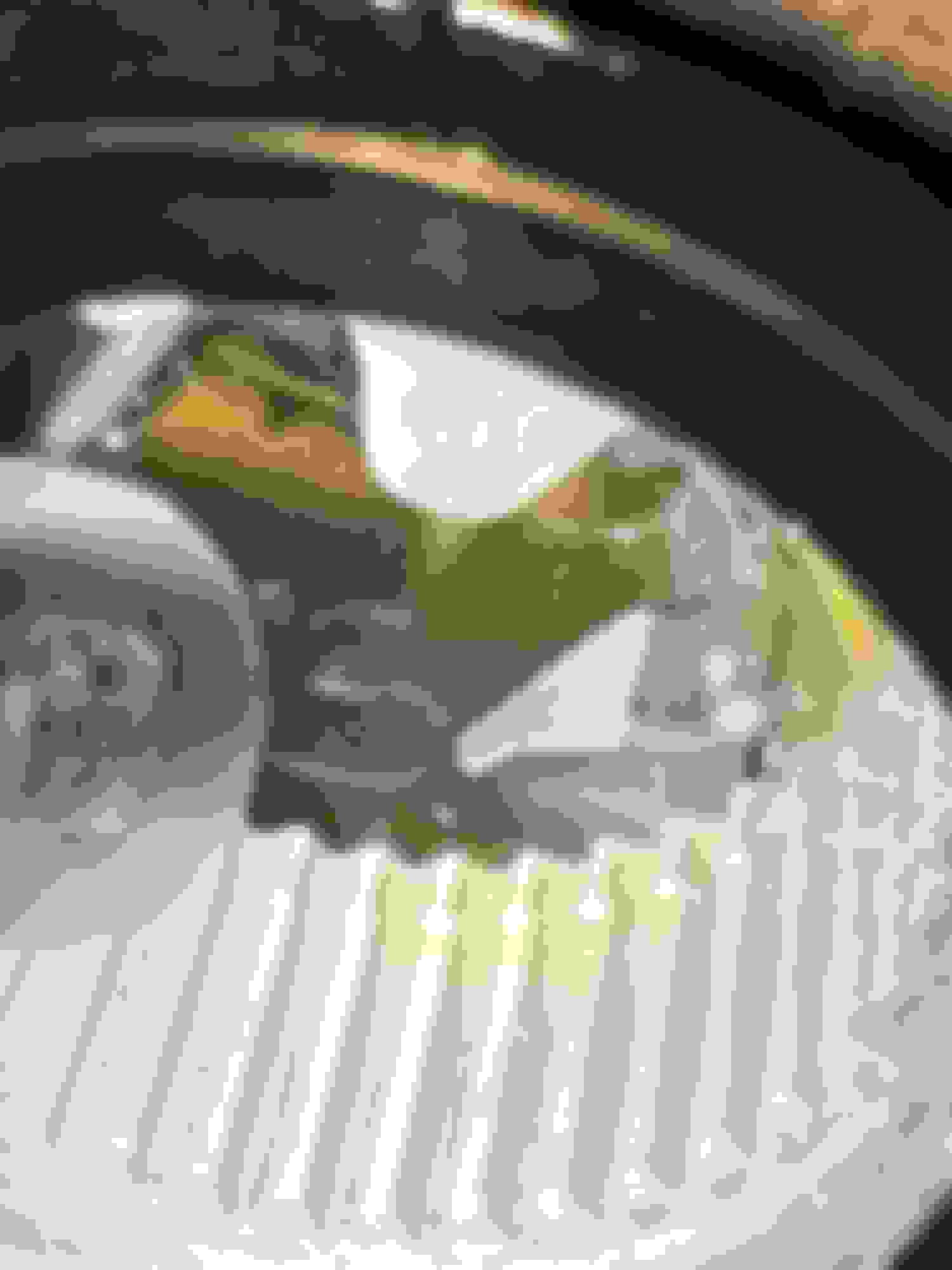 Torque Vectoring Differential Replacement - AudiWorld Forums