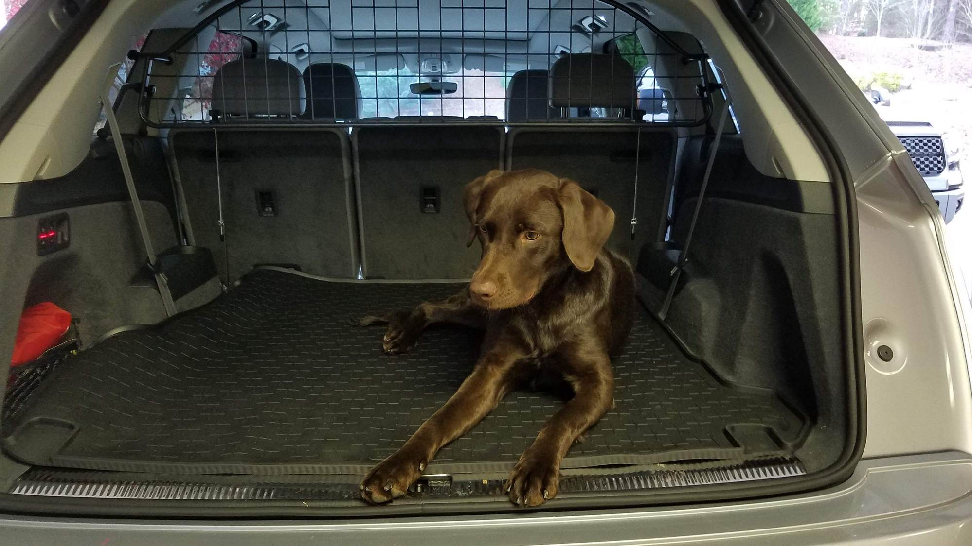 Audi Q7 Travall rear pet guard and floor mat for Audi Q7" - AudiWorld ...