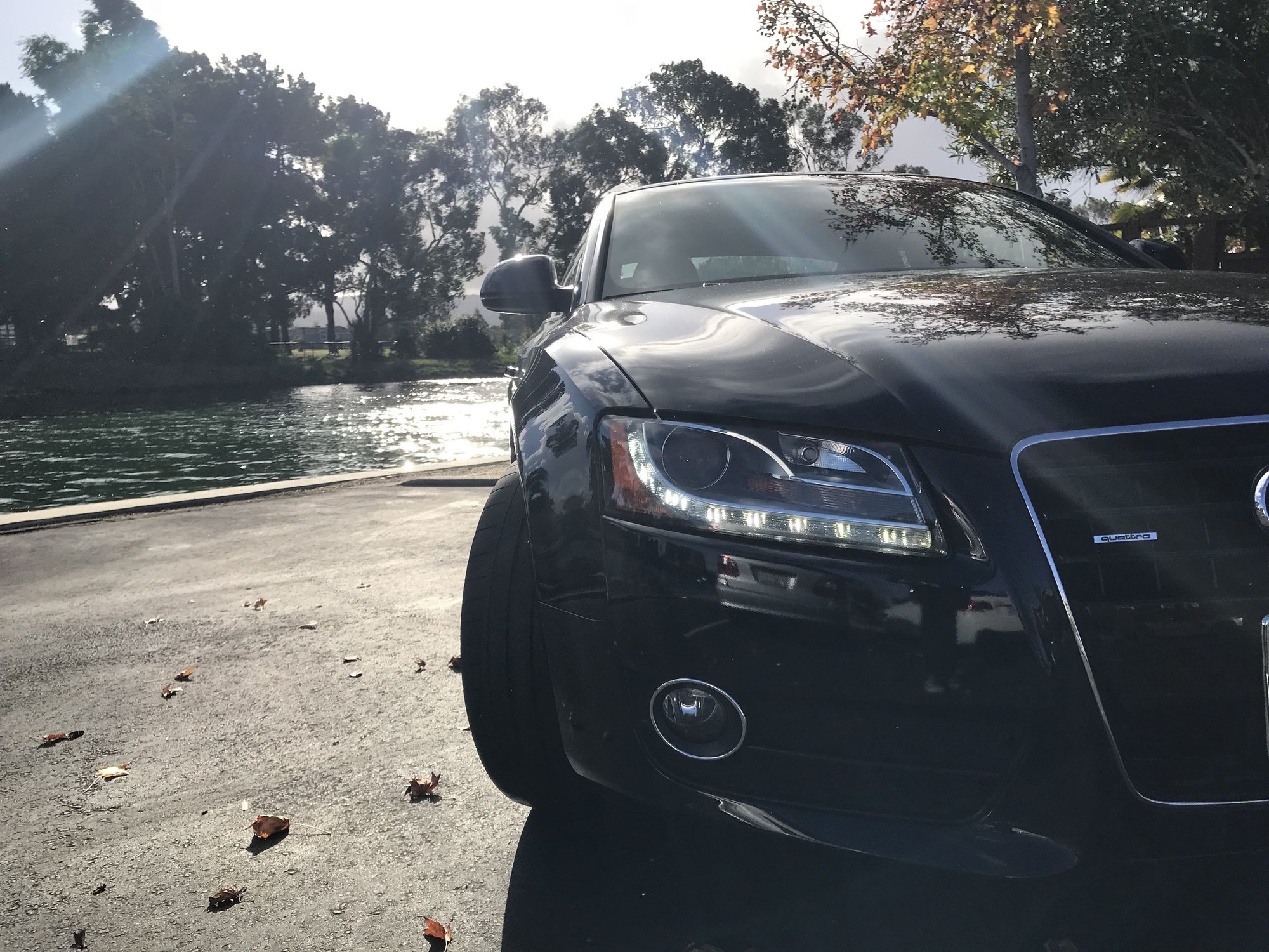 Rare European Color Scheme - 2009 Audi A5 Quattro Prestige for sale ...
