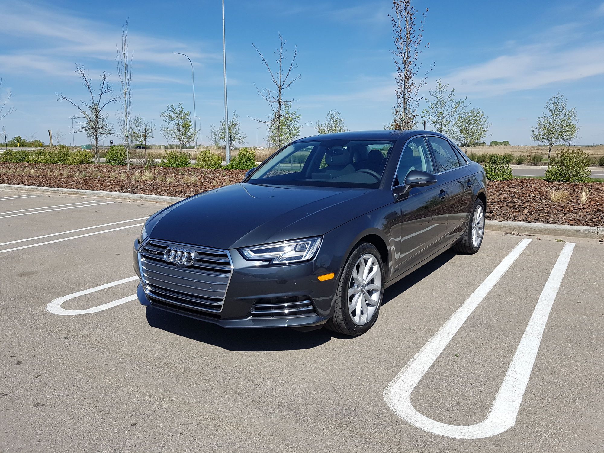 Manhattan Gray or Daytona Gray - AudiWorld Forums