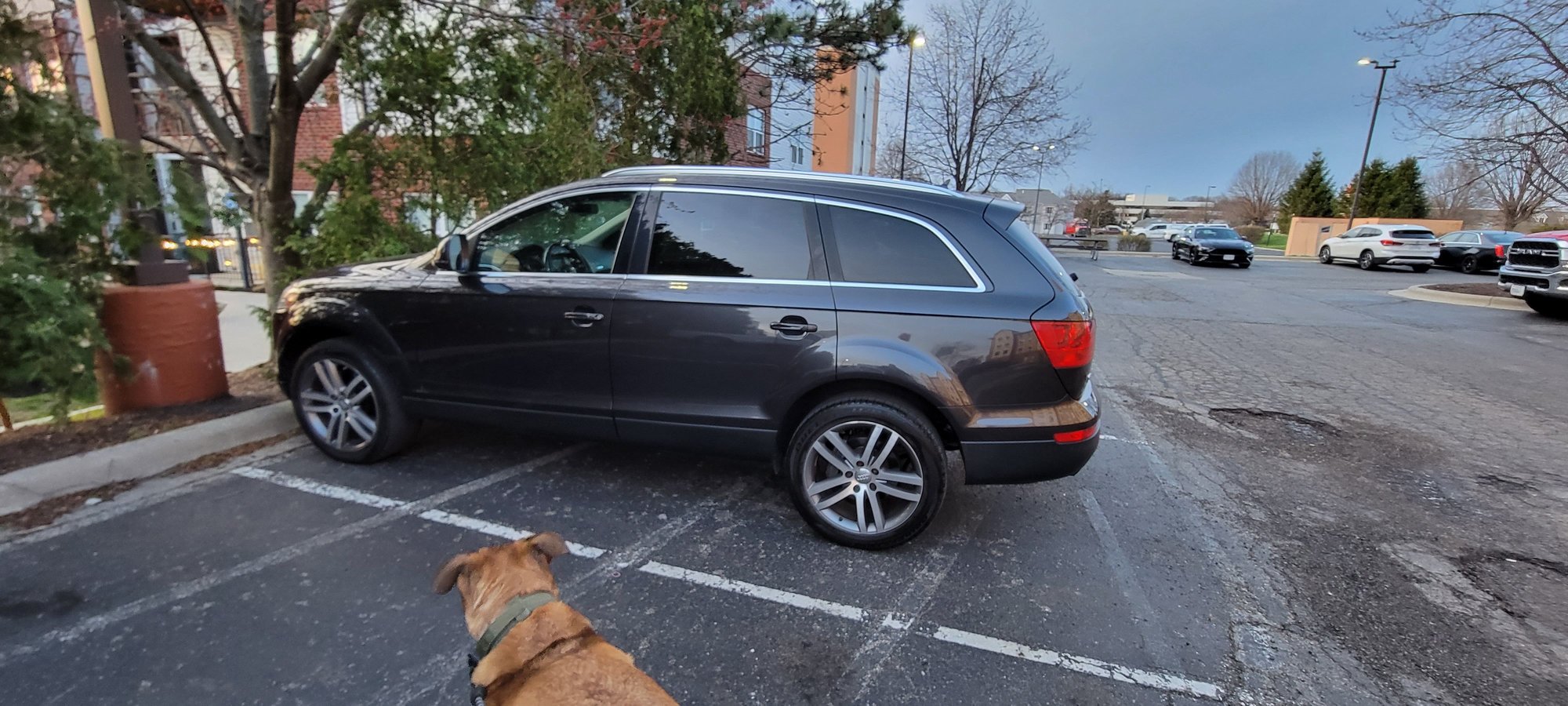 Where should I go to get a proper tire balance on my 07 Q7? - AudiWorld ...