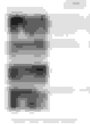 Cete Active Valve Controller Install - AudiWorld Forums