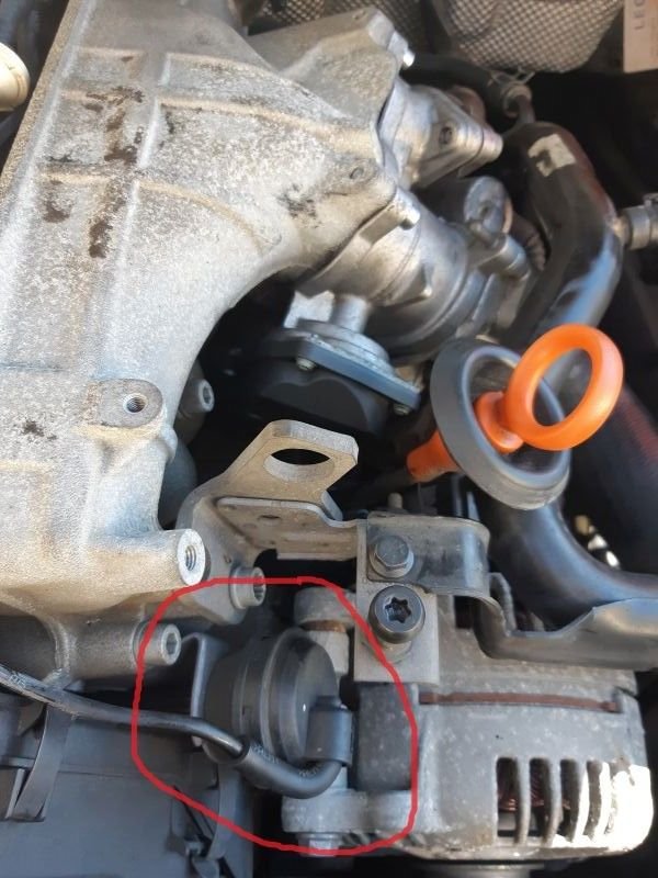 New member with a simple question - AudiWorld Forums