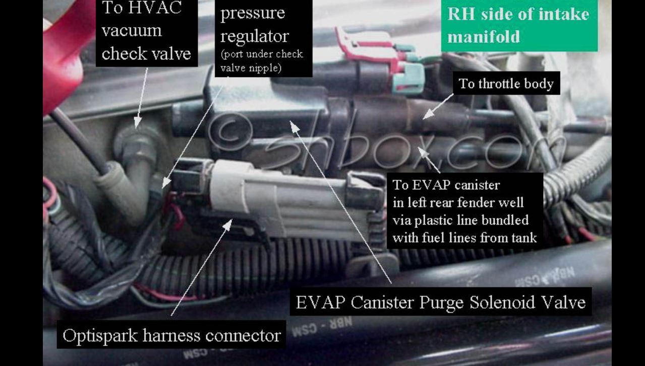 Please Help with P0300, P1380 & P1381 on 96 LT1. - CorvetteForum ...