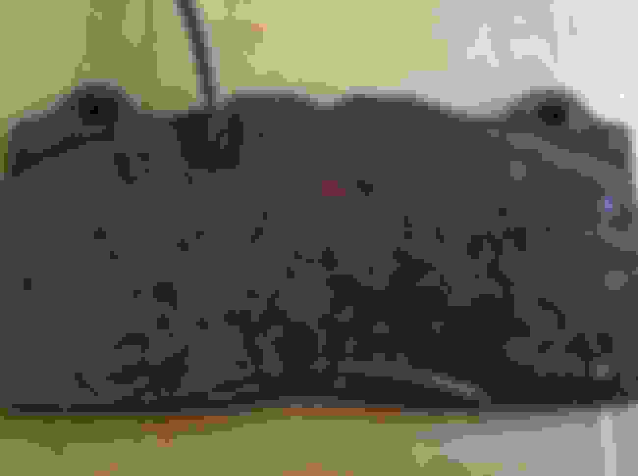 "brakes worn" warning fix carbon brakes - CorvetteForum - Chevrolet ...