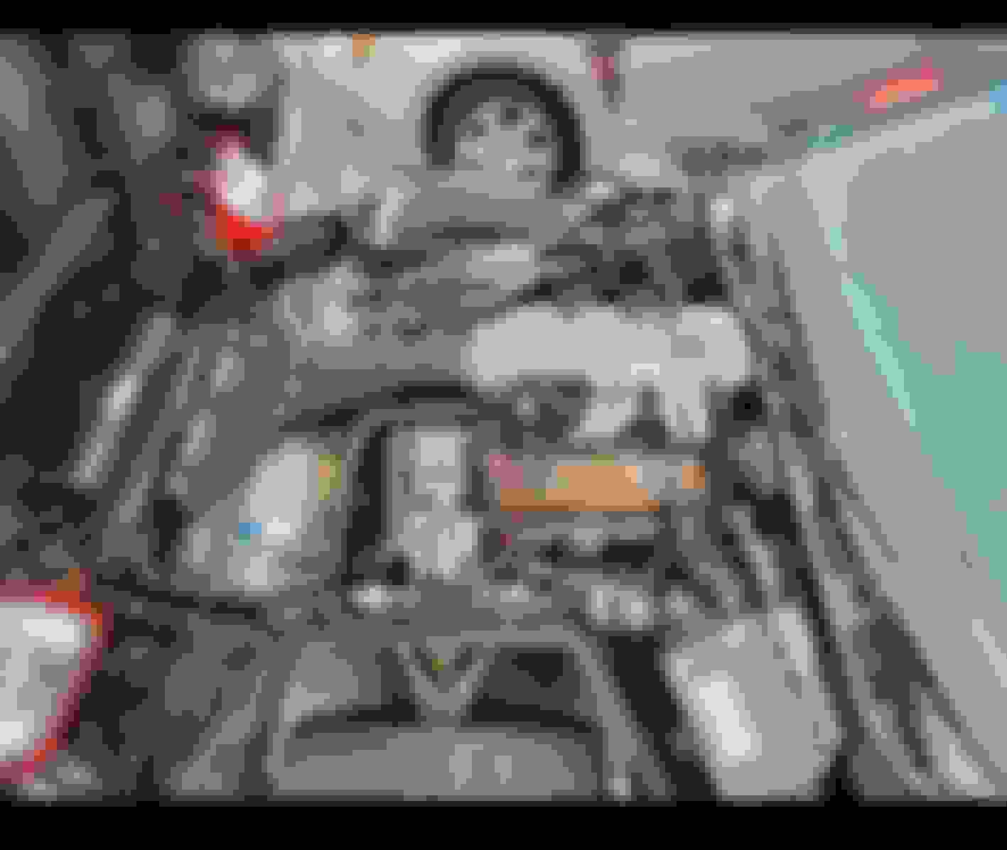 91 Z07, "To clone or not to clone; that is the question ...