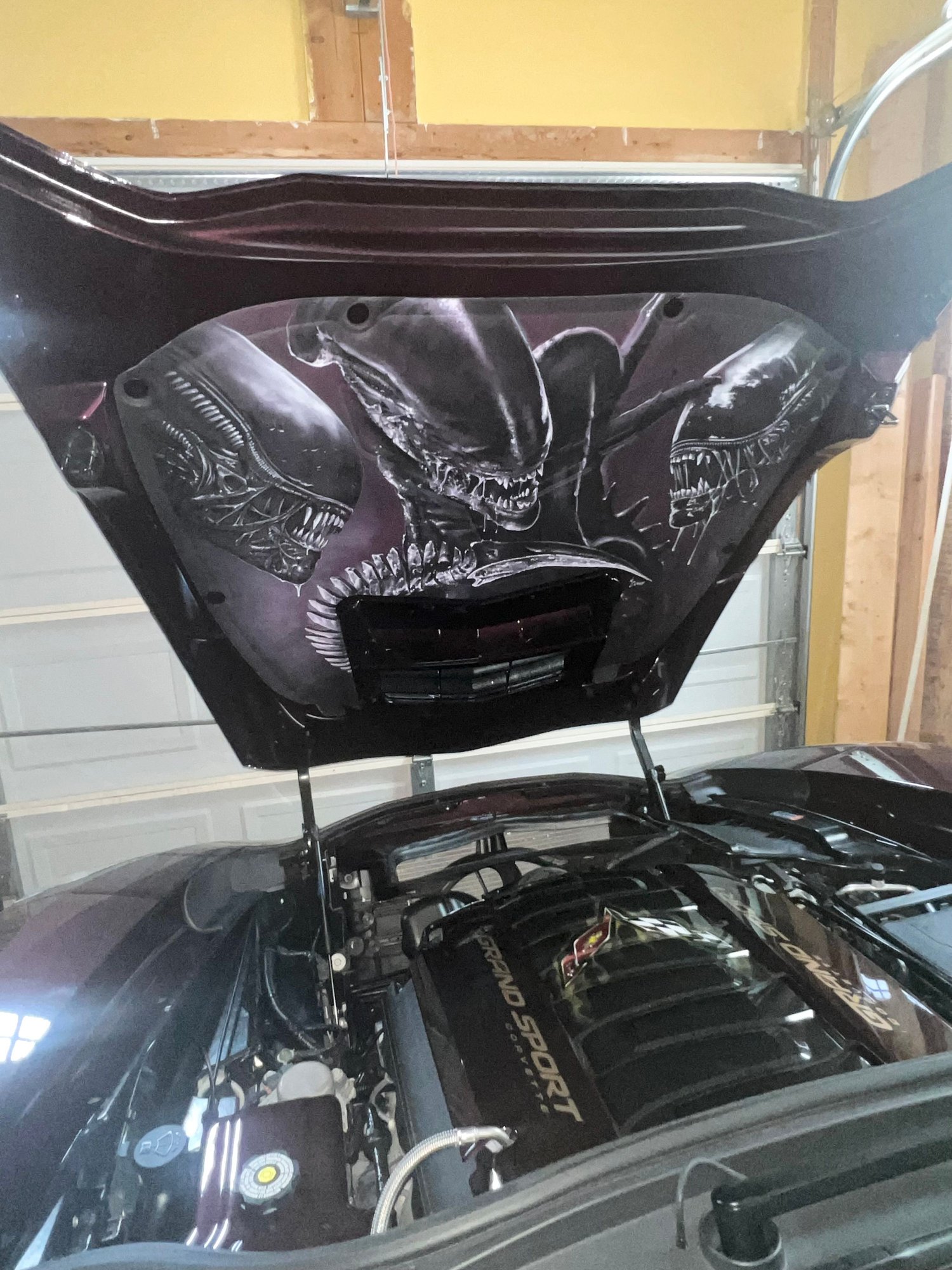 Installed Airbrush hood liner - CorvetteForum - Chevrolet Corvette ...