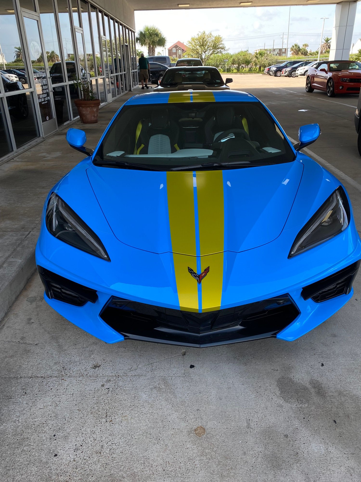 Anyone have picture? Rapid Blue & Yellow Stripes - CorvetteForum ...