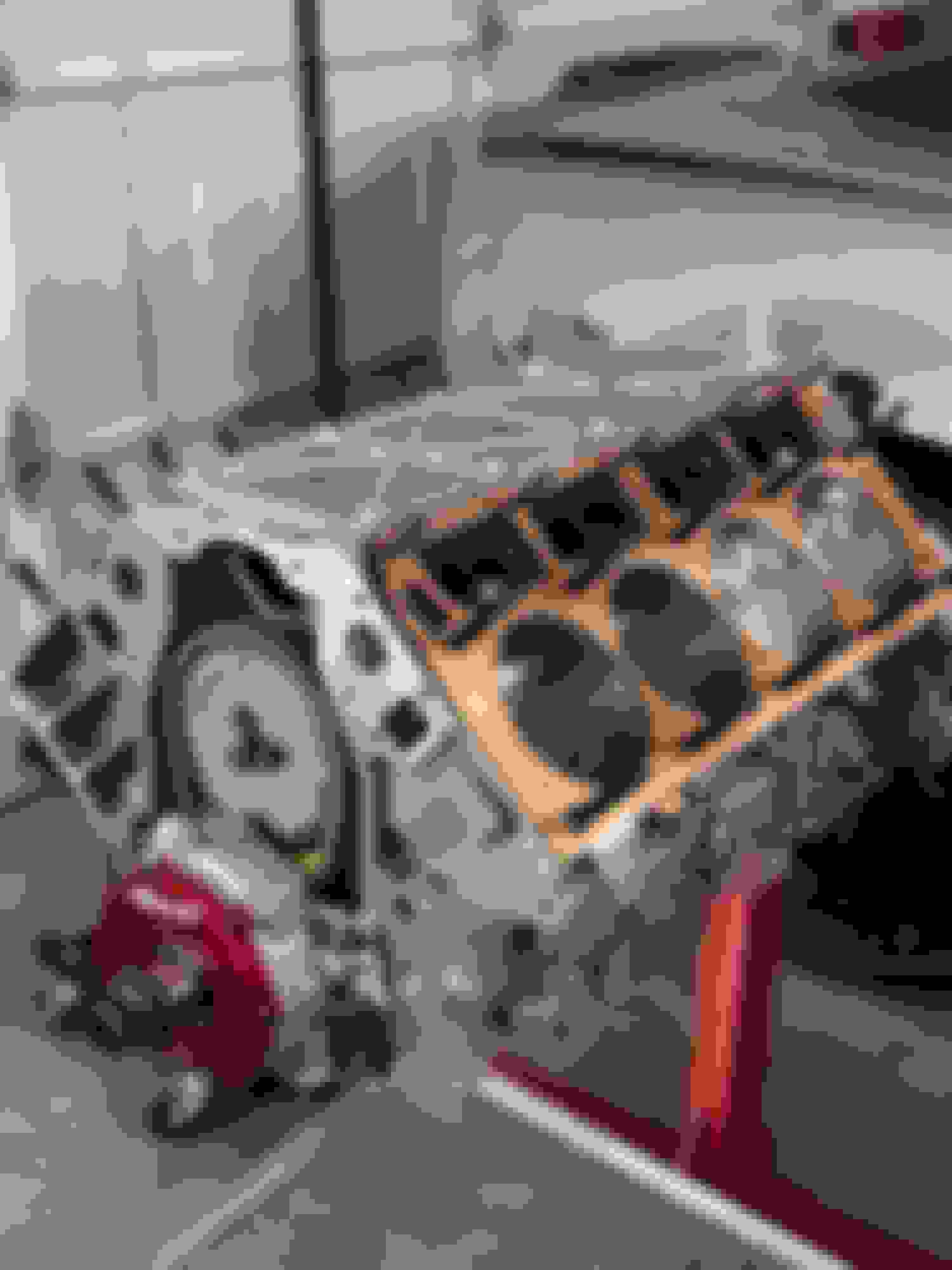 FS (For Sale) Darton Sleeved Built 427 LS7 7.0 - CorvetteForum - Chevrolet Corvette Forum Discussion