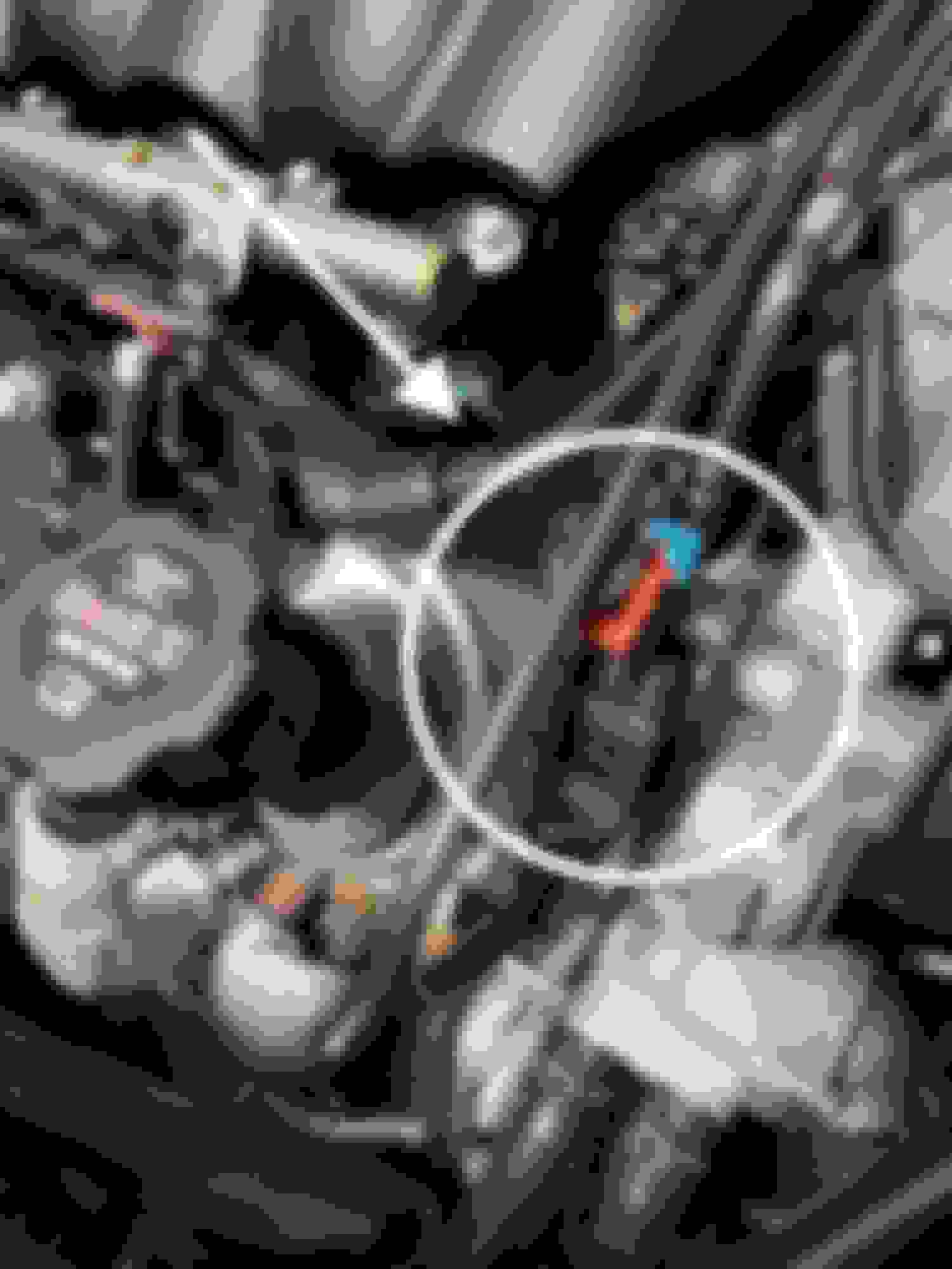 P0442 - CorvetteForum - Chevrolet Corvette Forum Discussion