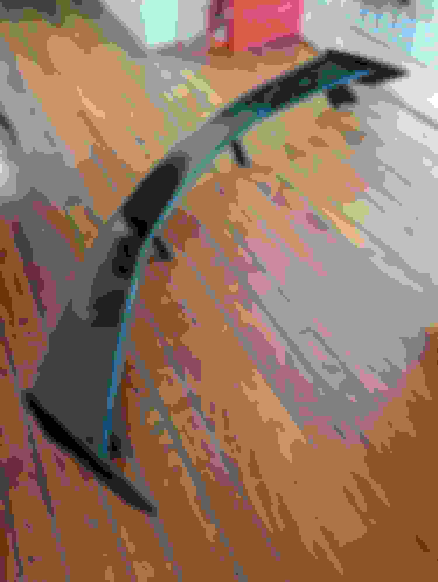 FS (For Sale) OEM GM Z07 Rear Spoiler – Carbon Flash Black – C8 ...