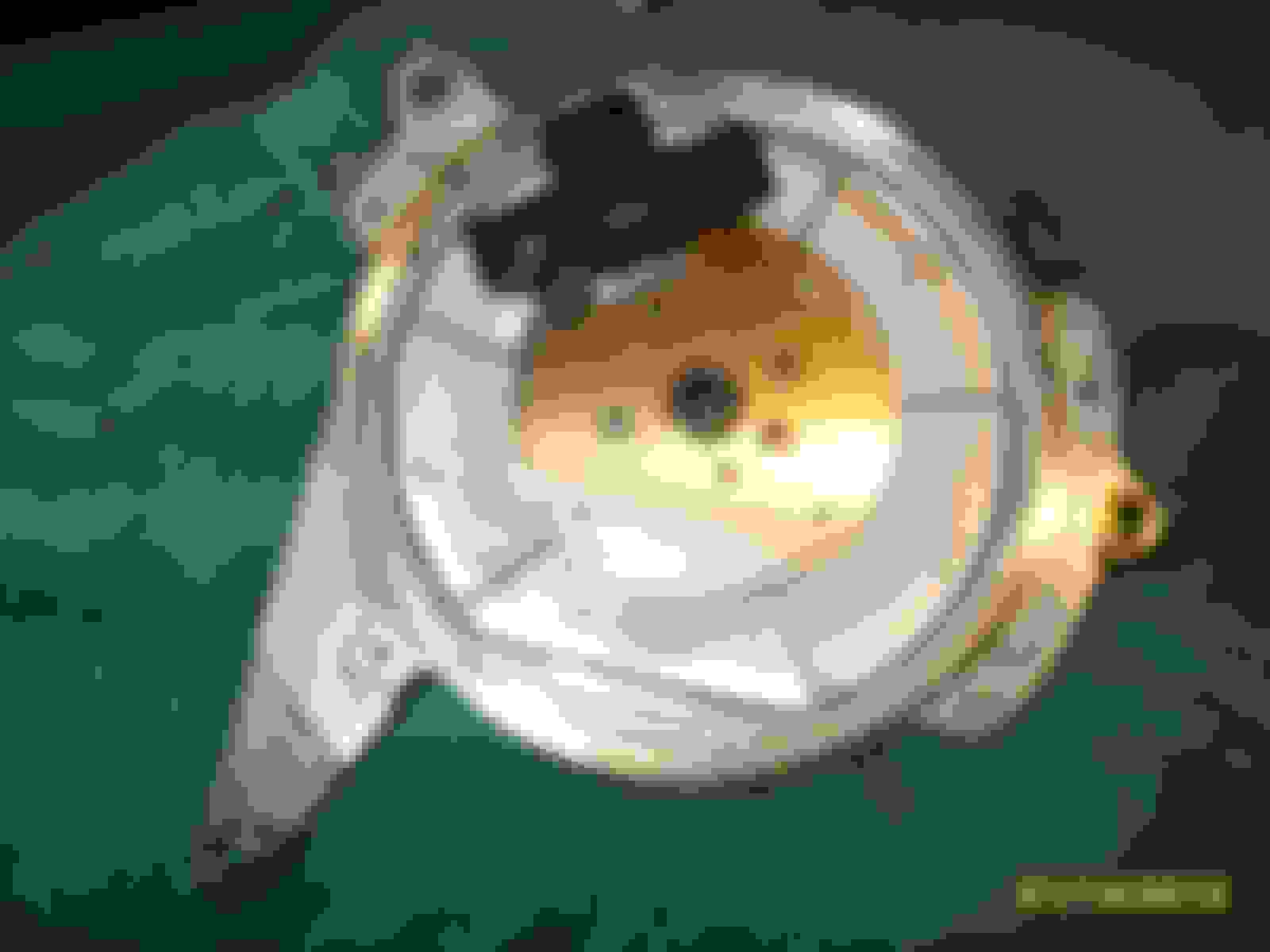 OEM Optispark identification? - CorvetteForum - Chevrolet Corvette ...