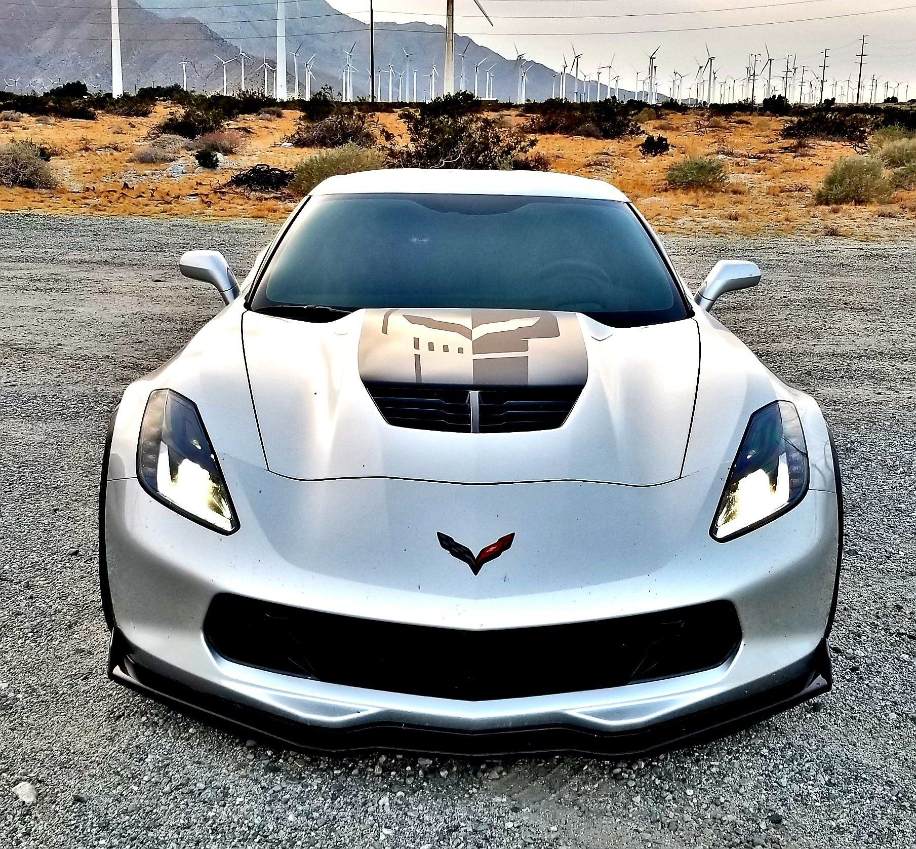 Jake skull hood sticker - Page 2 - CorvetteForum - Chevrolet Corvette ...