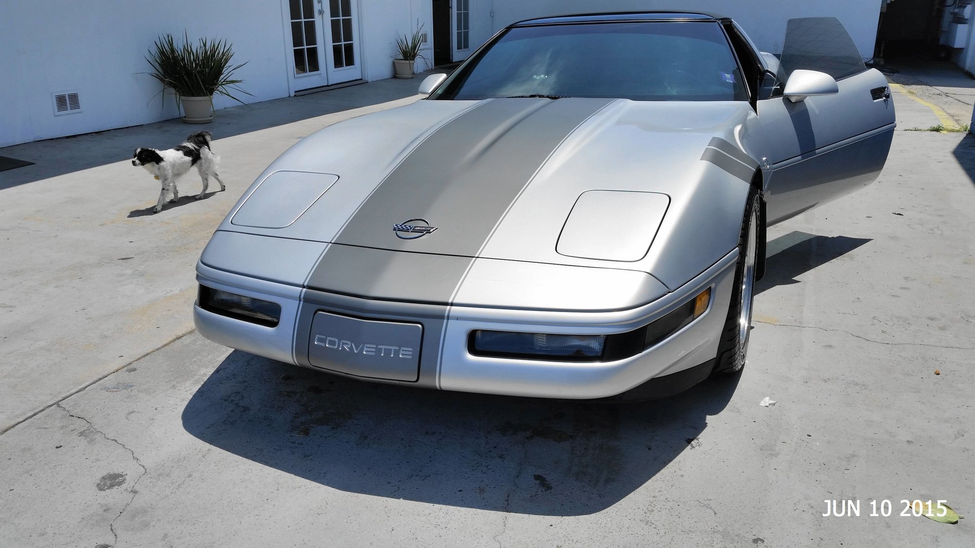 Ghost's New Look - CorvetteForum - Chevrolet Corvette Forum Discussion