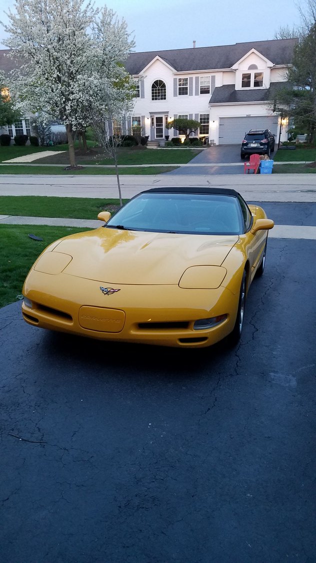 Picture Request: Millenium Yellow C5's:) - Page 6 - CorvetteForum ...