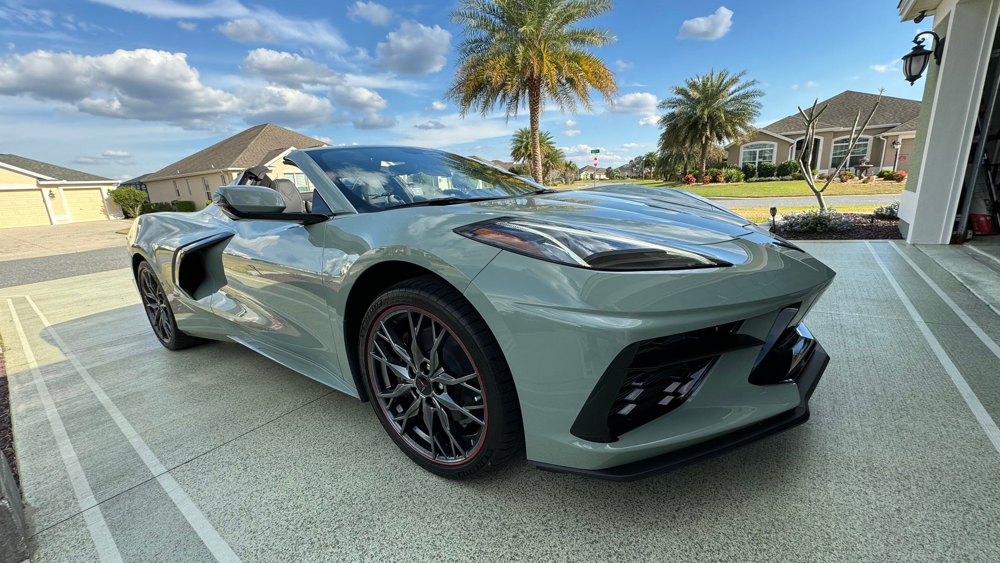 Official Cacti Green Color Thread - Page 6 - CorvetteForum - Chevrolet ...