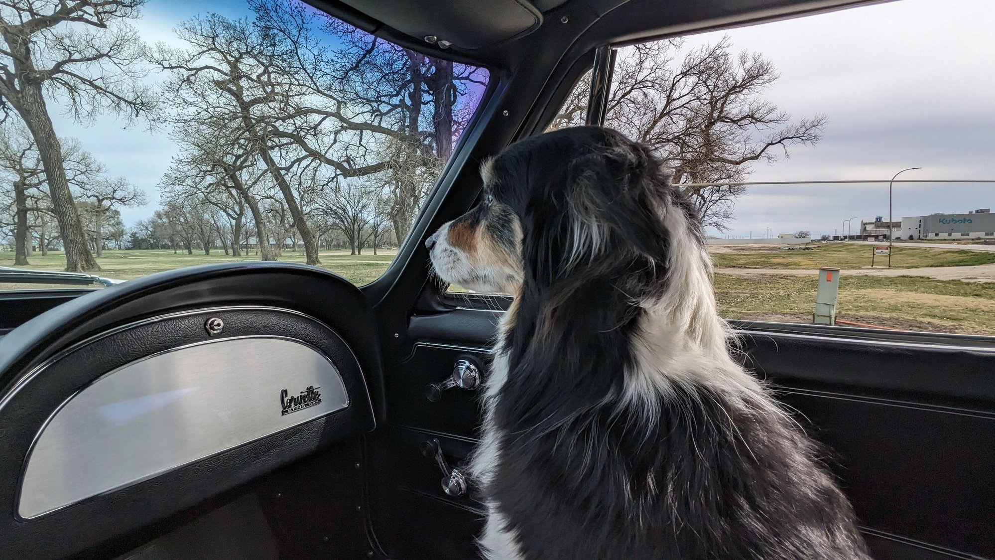 C2 What will I need to show my car in an outdoor car show ...