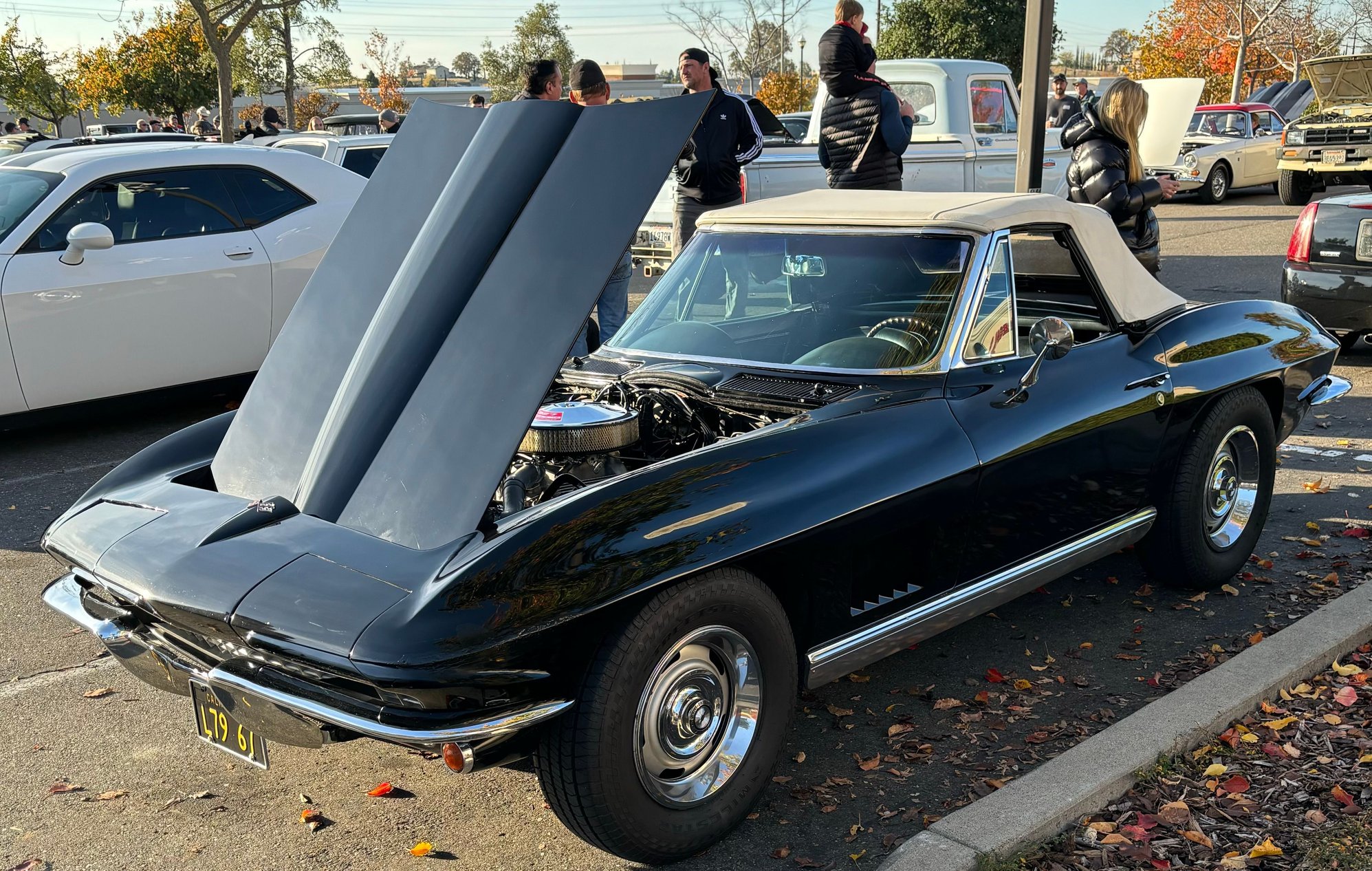 Got the Corvette bug, found the cure - CorvetteForum - Chevrolet ...