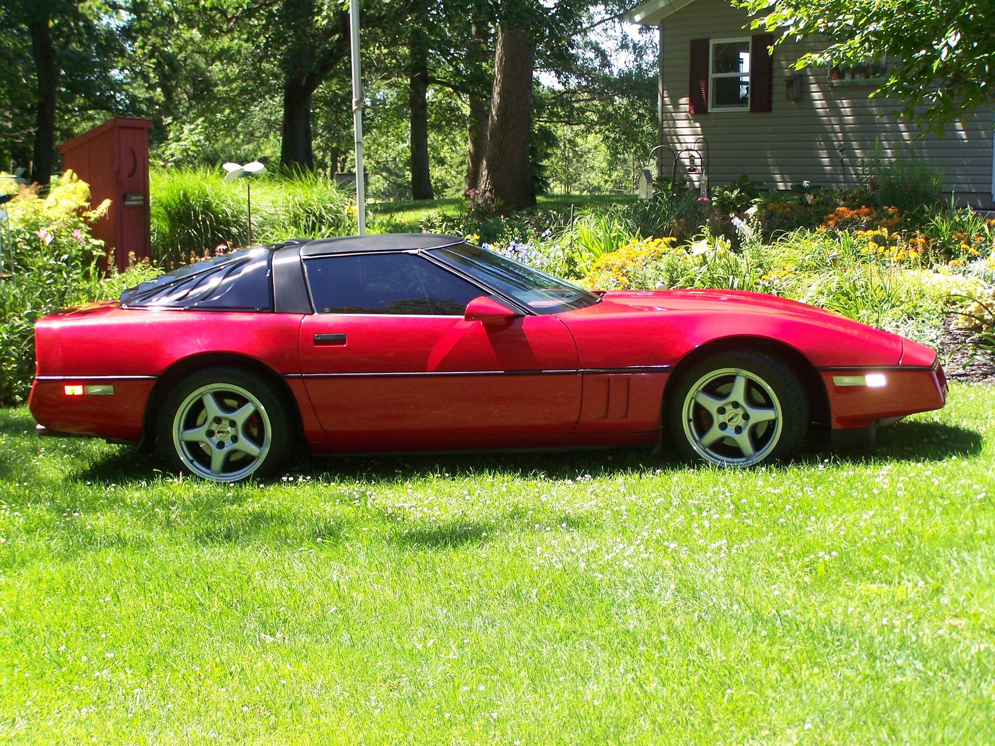 My 89 - CorvetteForum - Chevrolet Corvette Forum Discussion
