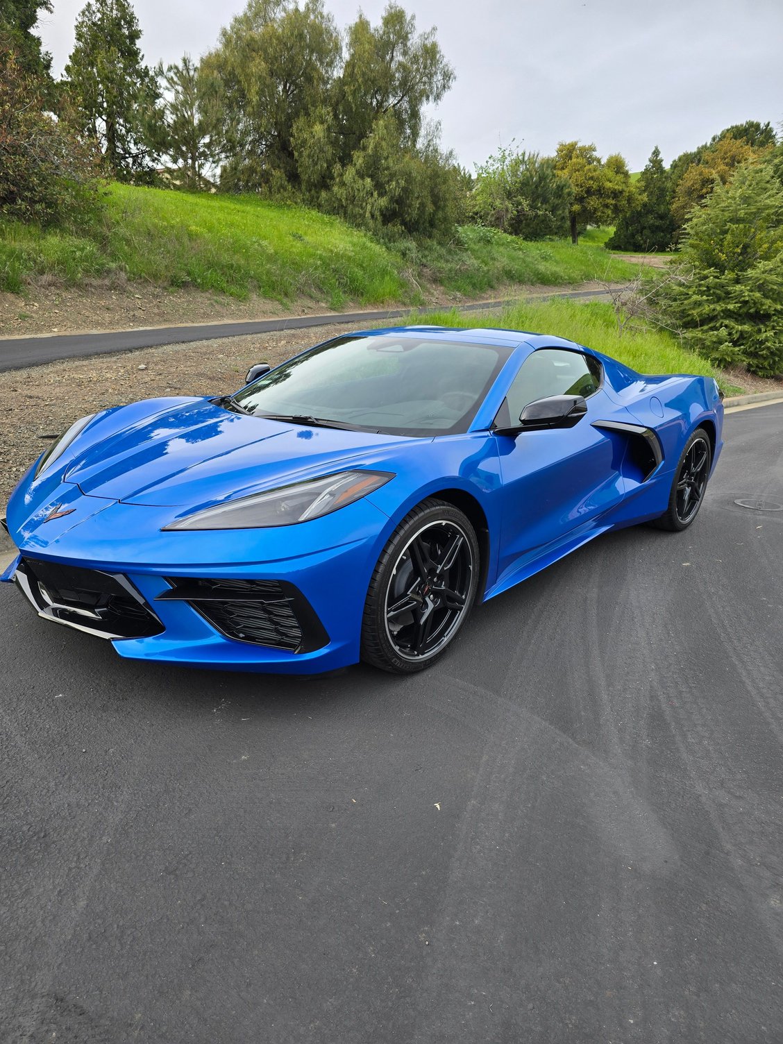 Official Riptide Blue Metallic Color Thread - Page 9 - CorvetteForum ...