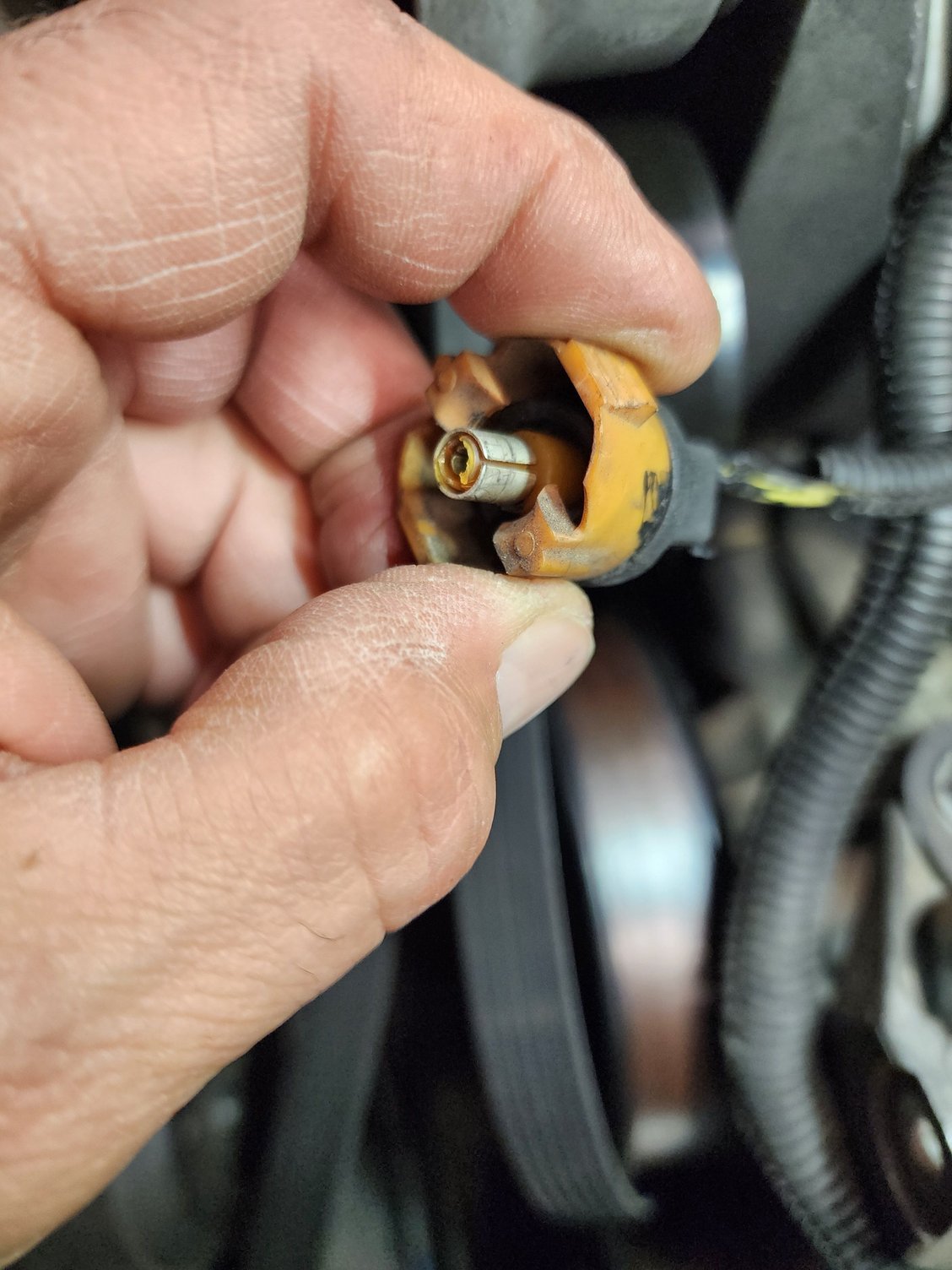 Coolant/fan temp sensor pigtail - CorvetteForum - Chevrolet Corvette ...