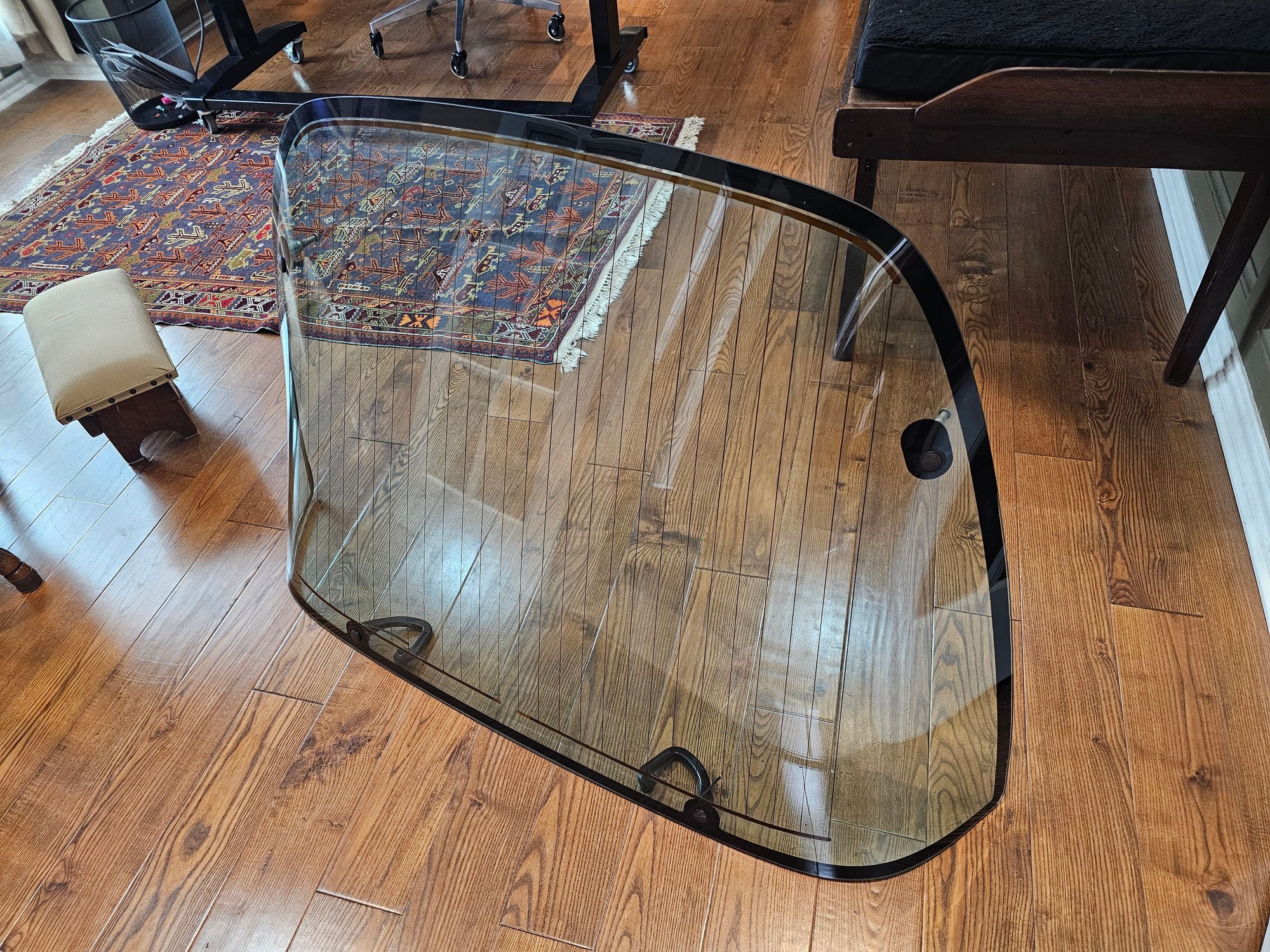 FS (For Sale) 1982 Collectors Edition Rear Hatch glass with hinges ...