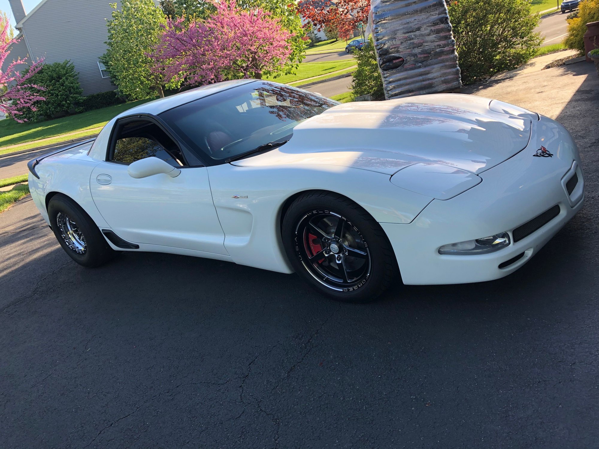WTT (Want To Trade) Nasty 1000hp C5 z06 - CorvetteForum - Chevrolet ...