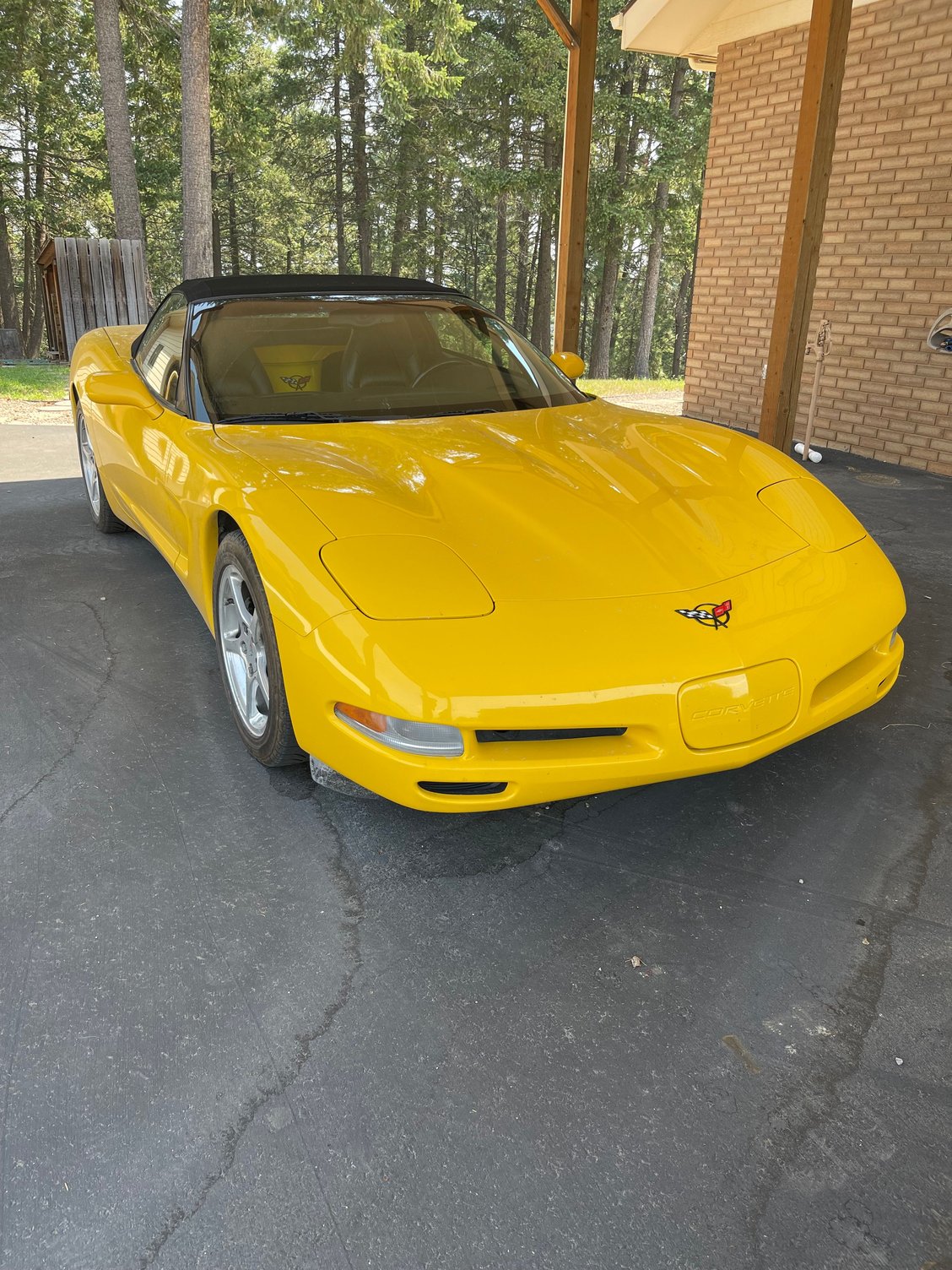 FS (For Sale) 2001 C5 Corvette Yellow Convertable, Museum Pickup ...