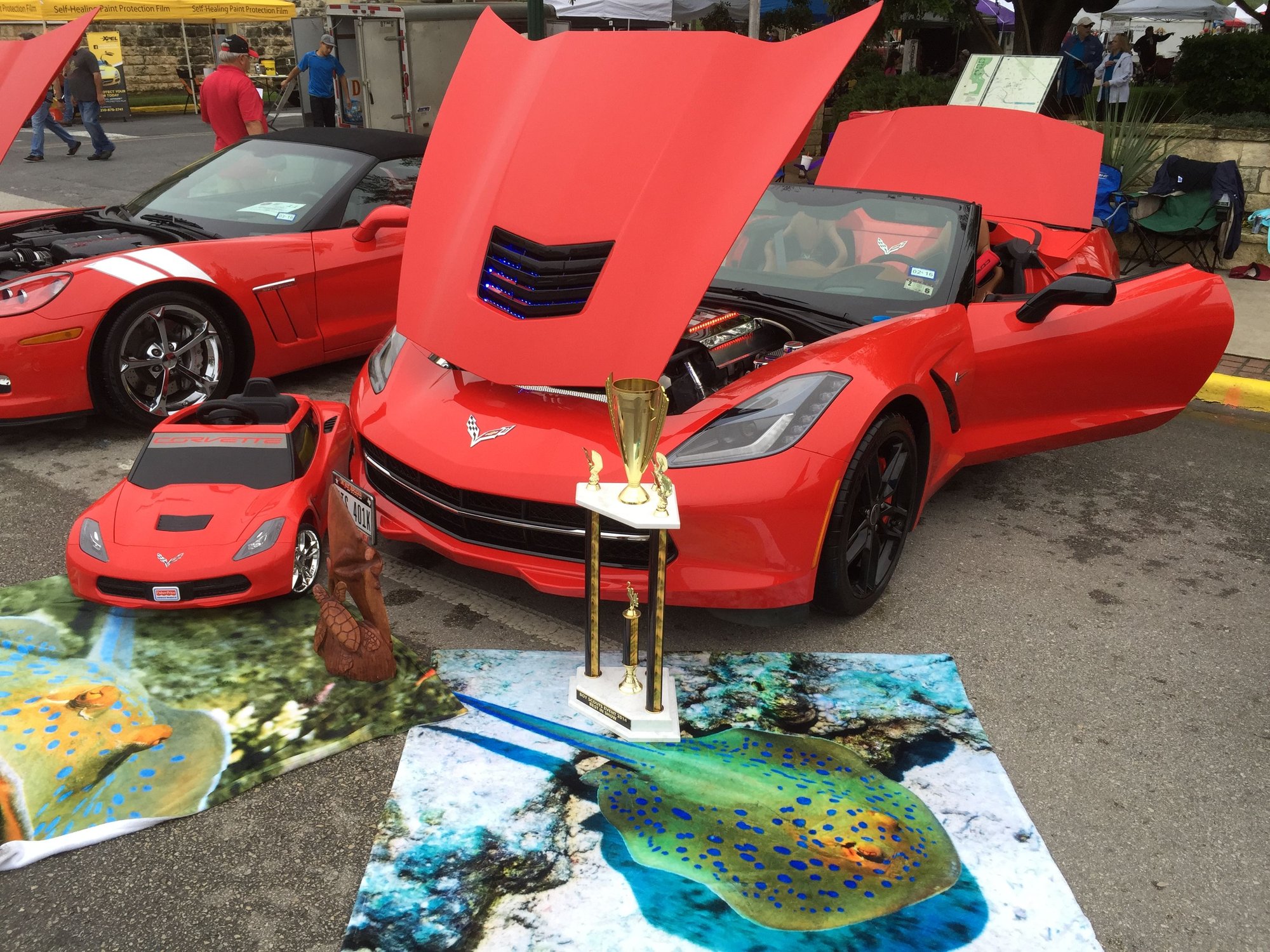 Show me your car show setup... - CorvetteForum - Chevrolet Corvette ...
