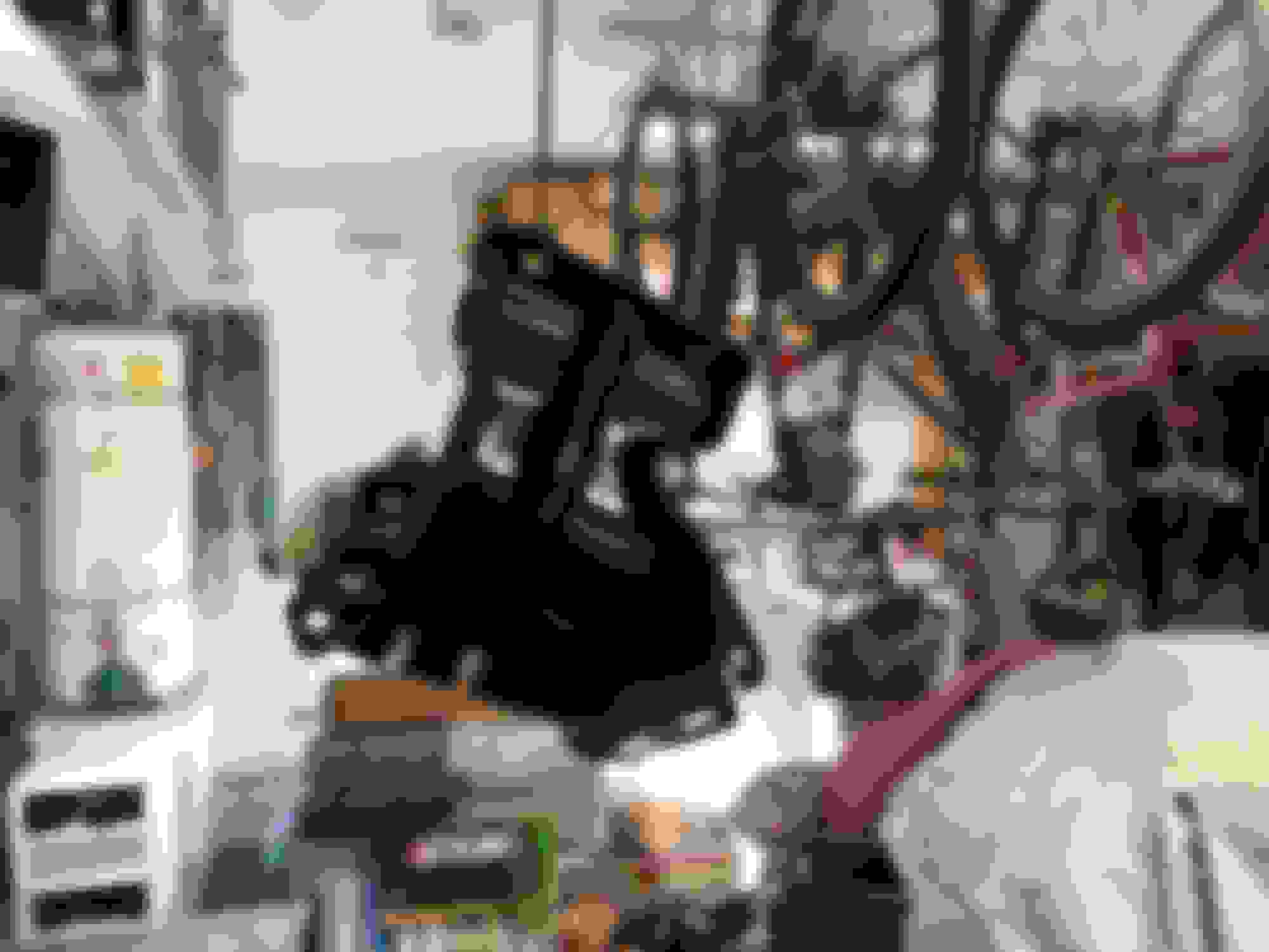 What did you do to your C3 today? - Page 696 - CorvetteForum - Chevrolet Corvette Forum Discussion