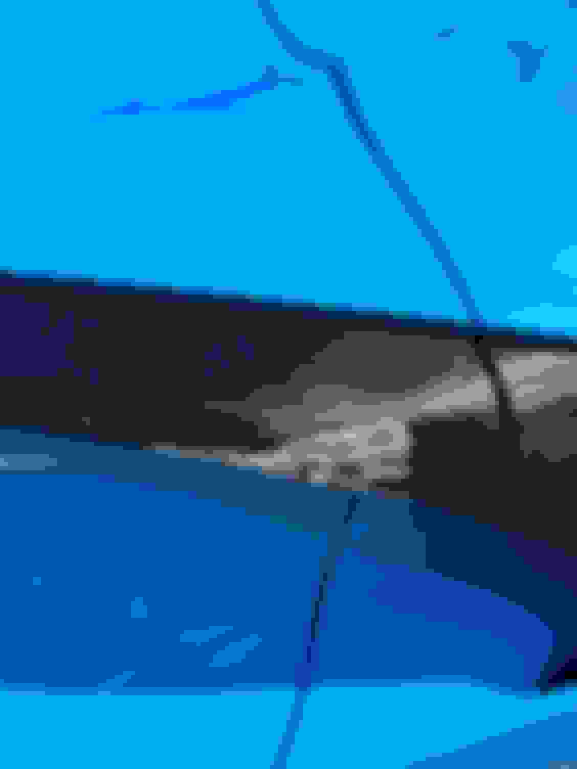 C8 Carbon Flash exterior door handle / trim - CorvetteForum - Chevrolet ...