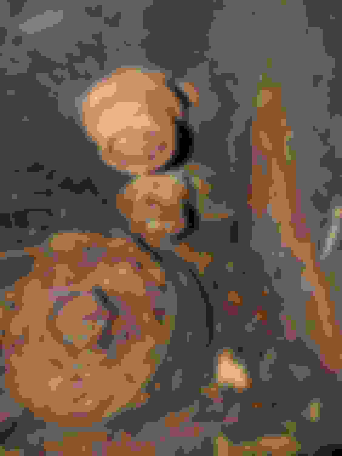 Classic Birdcage Rust - CorvetteForum - Chevrolet Corvette Forum Discussion