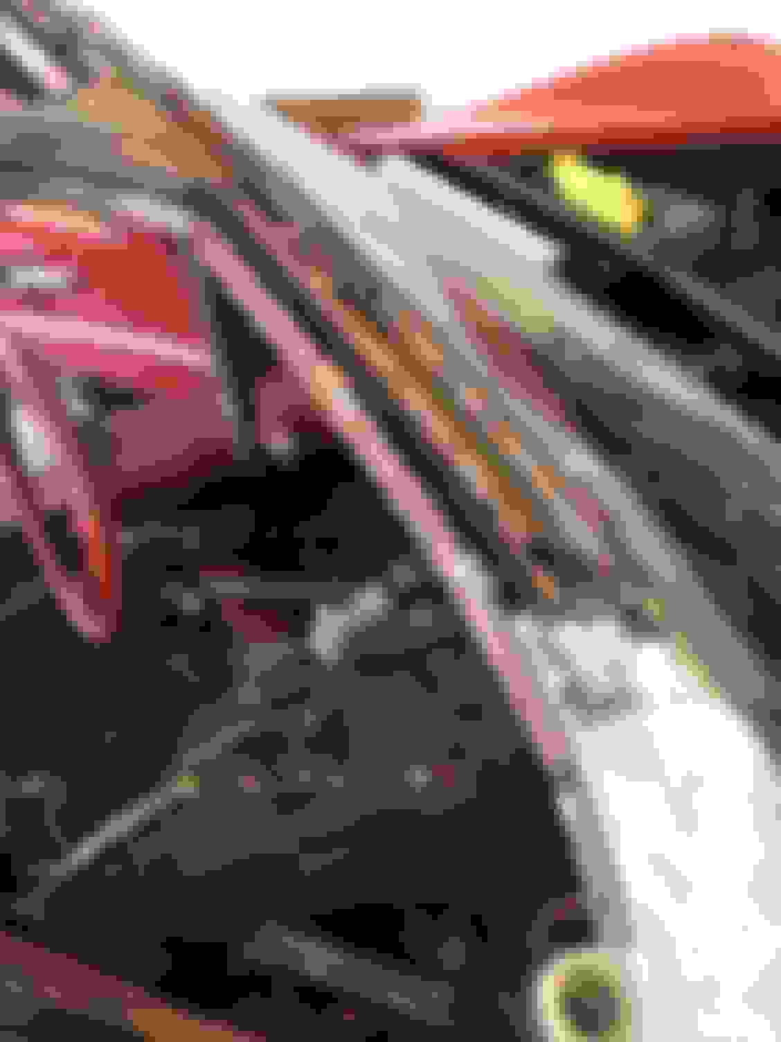 Classic Birdcage Rust - CorvetteForum - Chevrolet Corvette Forum Discussion