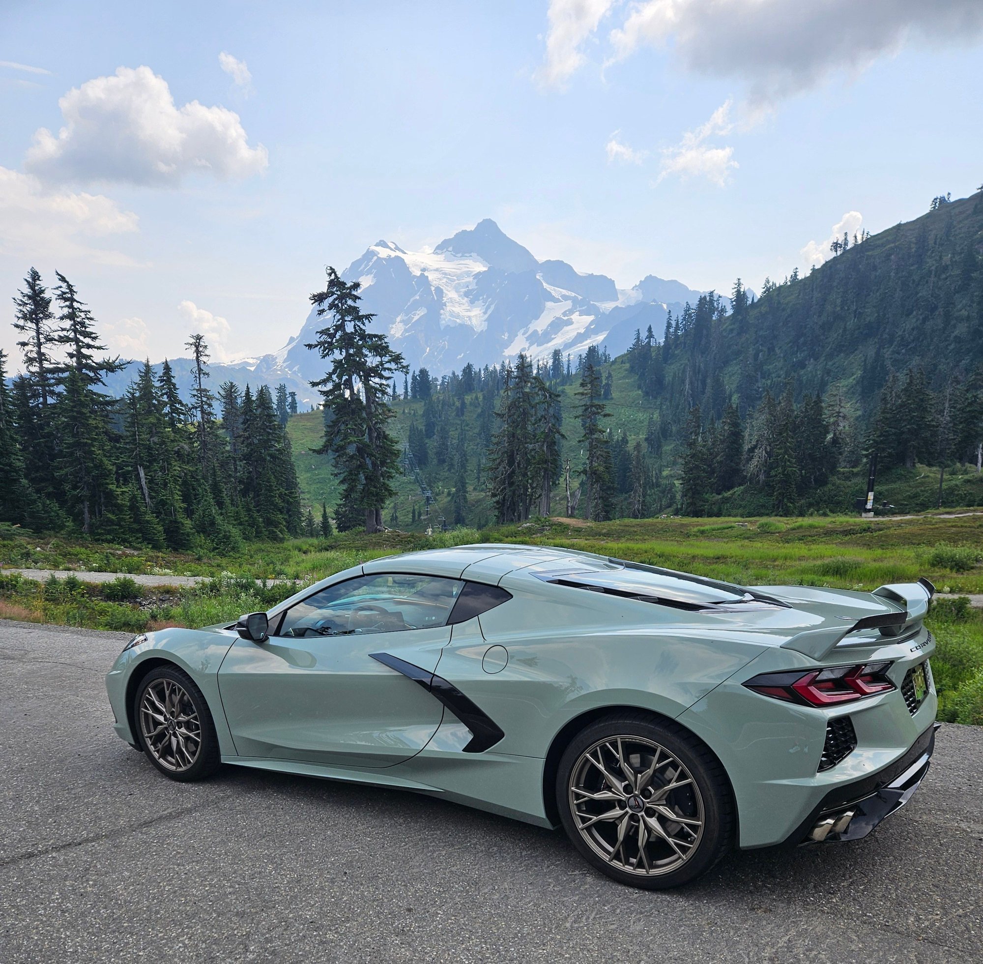 Official Cacti Green Color Thread - Page 6 - CorvetteForum - Chevrolet ...