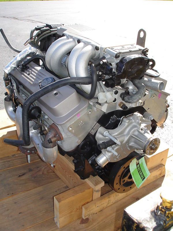 L98/TPI plug wire routing. - CorvetteForum - Chevrolet Corvette Forum ...