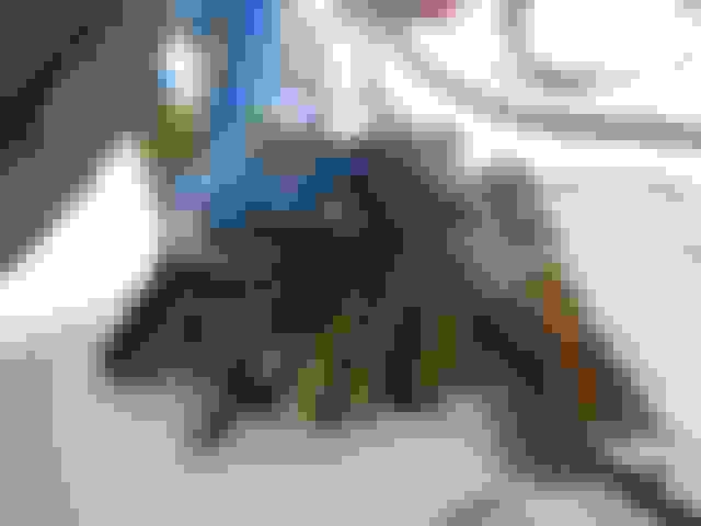 FS (For Sale) SnapOn Scanner Solus Pro - CorvetteForum - Chevrolet ...