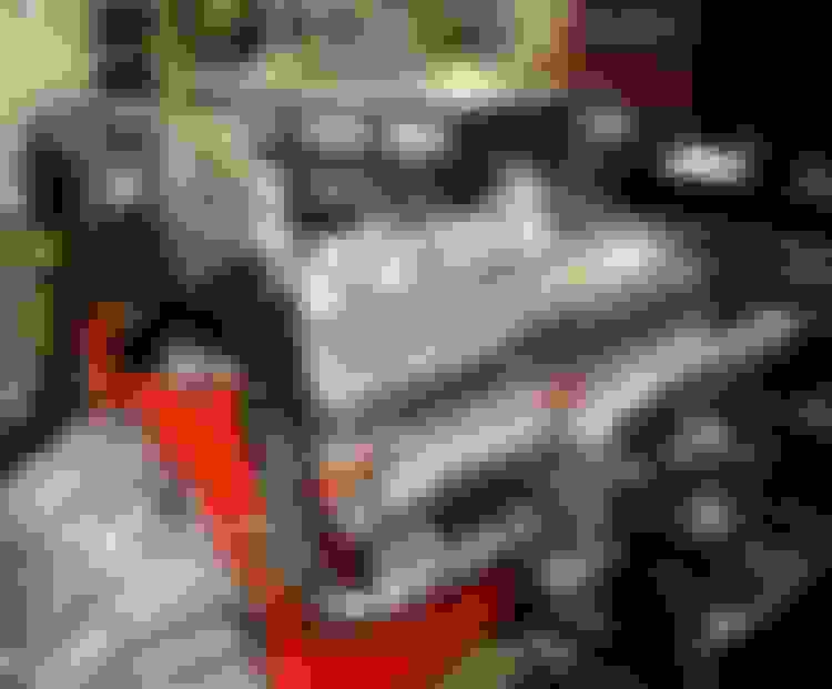 C2 Installing Ignition shielding on a 1966 Small Block - CorvetteForum ...