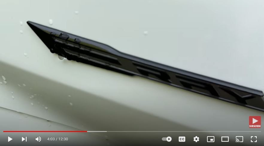 E-Ray Emblem in Carbon Flash instead of Blue - CorvetteForum ...