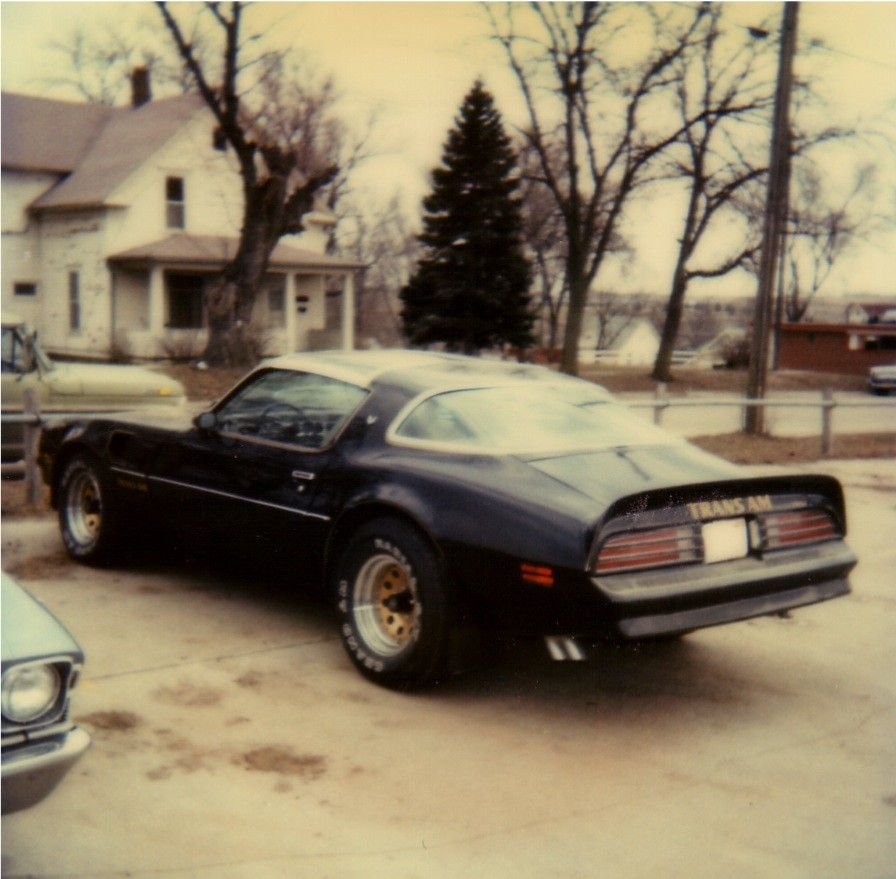 C5 versus 1977 Trans Am - CorvetteForum - Chevrolet Corvette Forum ...