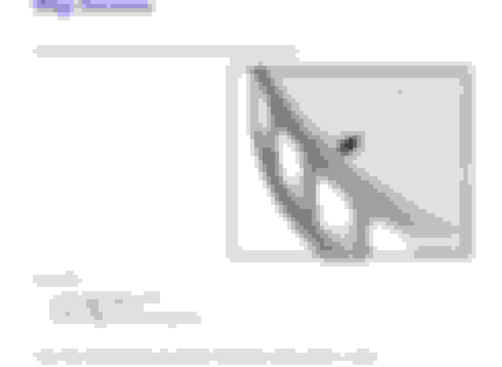 Chipped carbon rotor - CorvetteForum - Chevrolet Corvette Forum Discussion