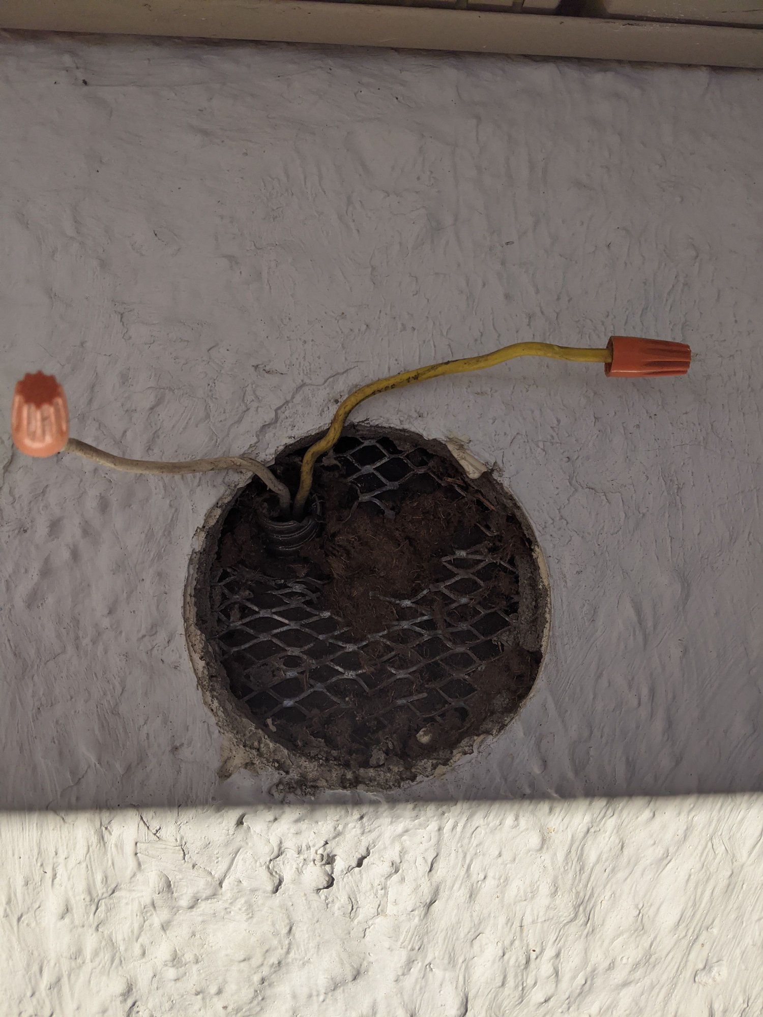 Is it damaged ceiling light or socket - DoItYourself.com Community Forums