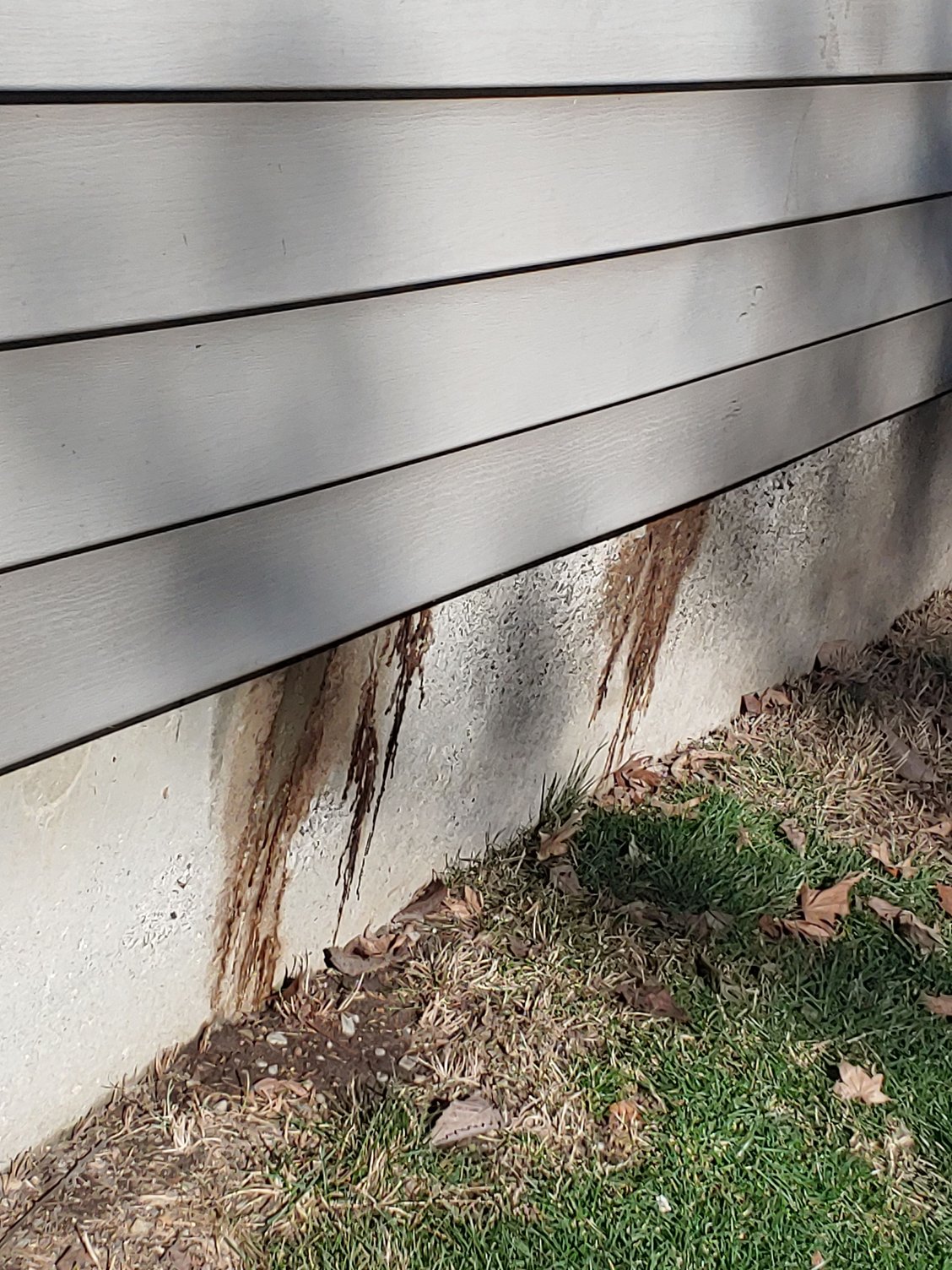 Brown liquid oozing from bottom of vinyl siding - DoItYourself.com Community Forums