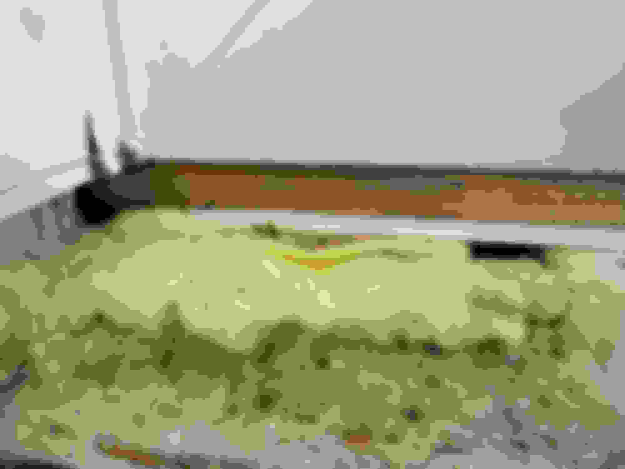 Jeld Wen window jamb extension removal - DoItYourself.com Community Forums