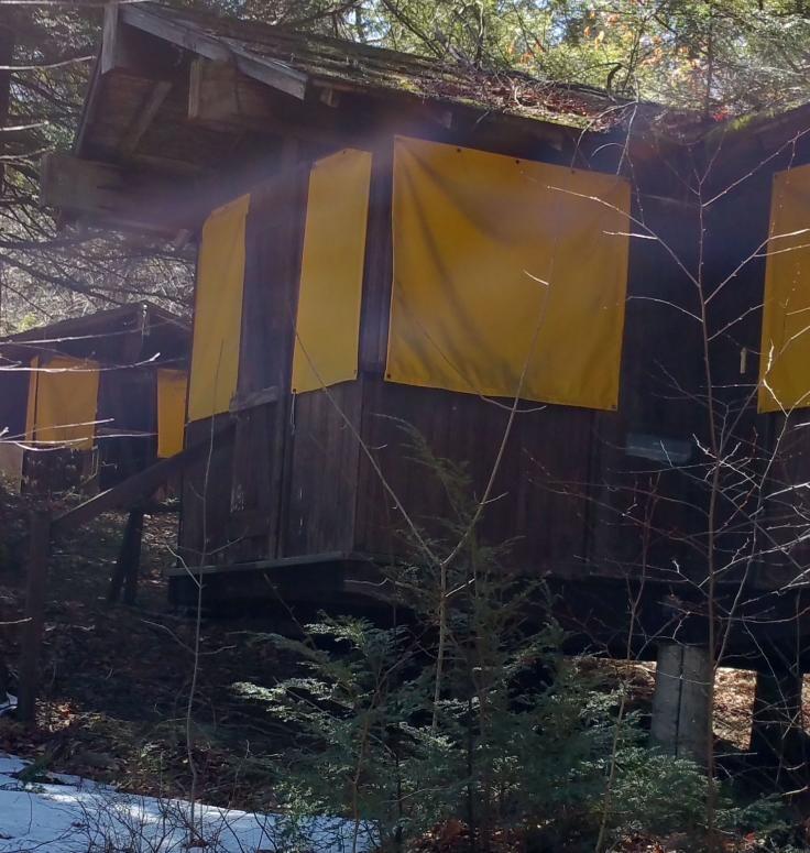 Cleaning camp cabins for painting - DoItYourself.com Community Forums