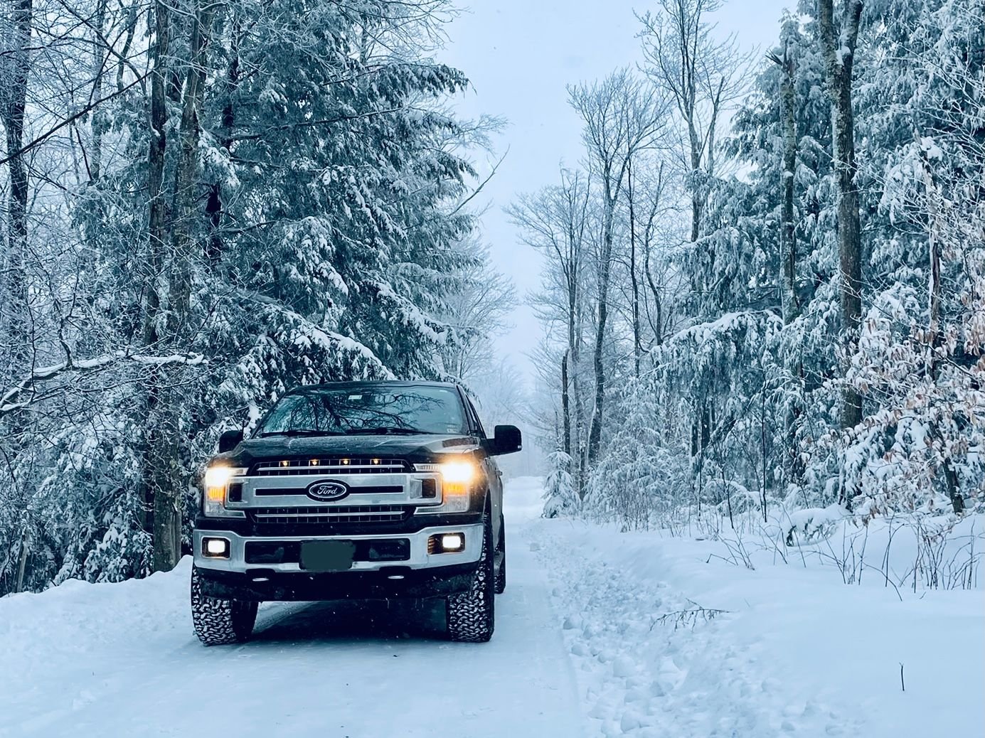 Show Us Your Truck in Snow - Page 15 - Ford F150 Forum - Community of ...